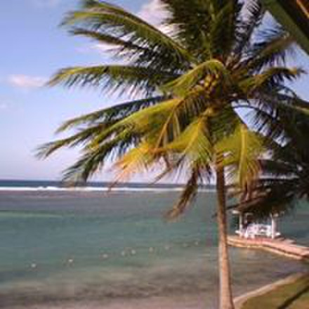 Debra Coons (@debra_coons_66) on Natural Atlas