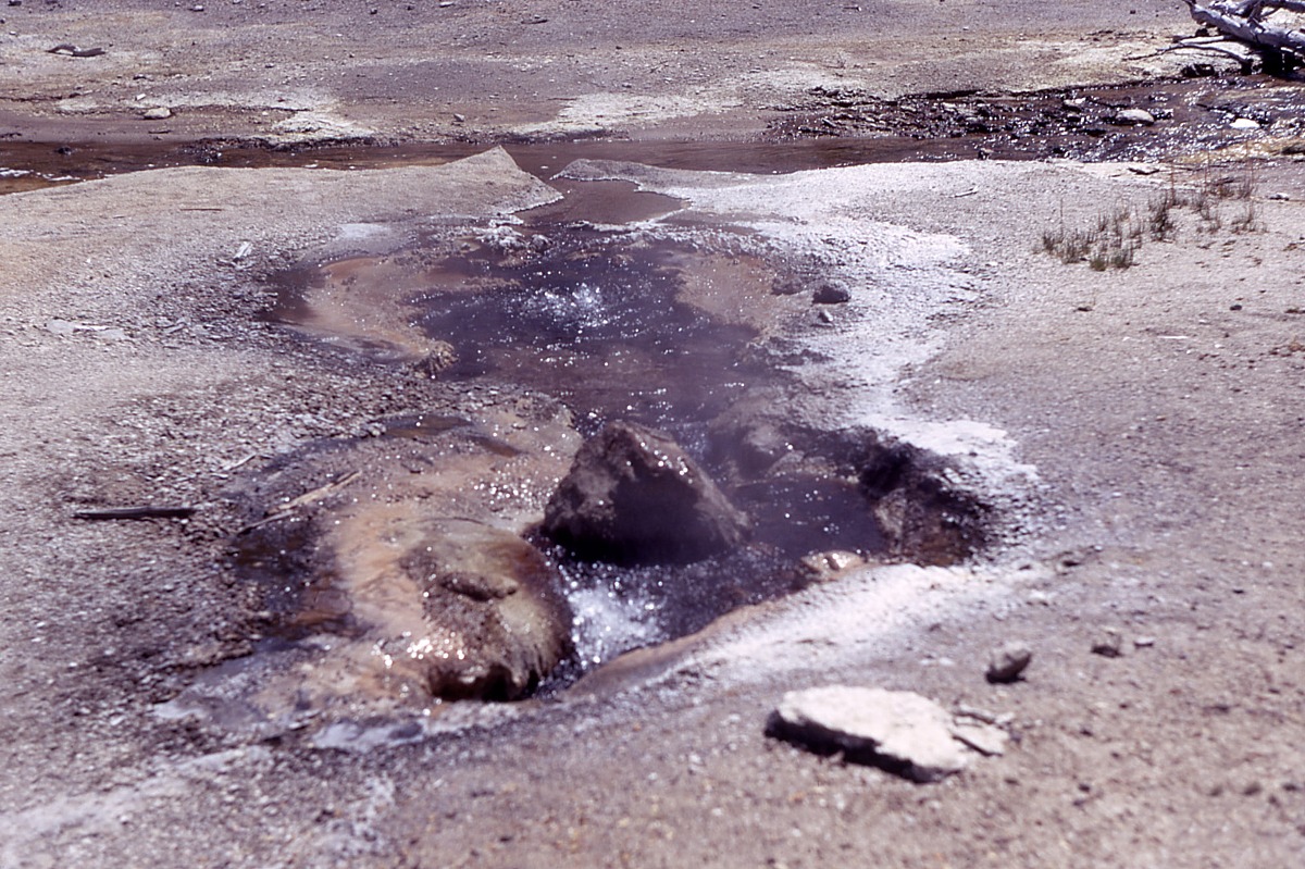 Perpetual Spouter | Natural Atlas