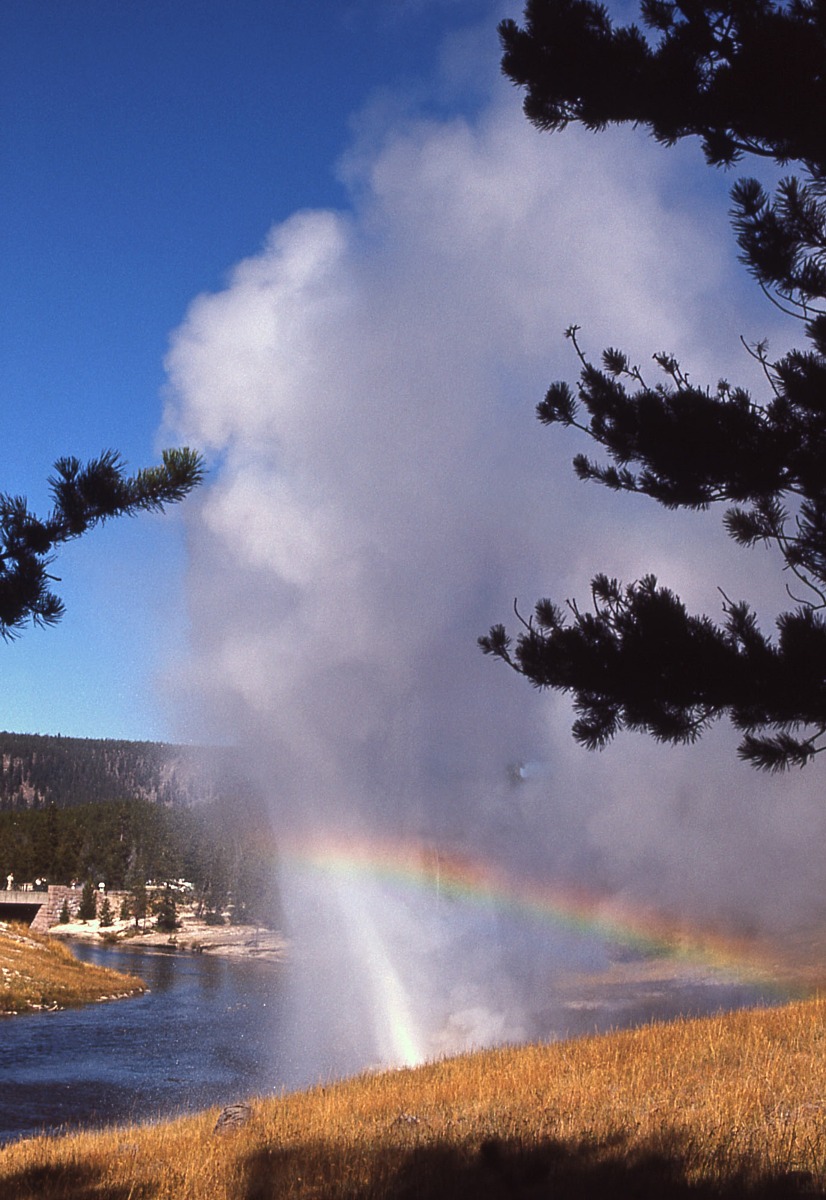 Riverside Geyser | Natural Atlas