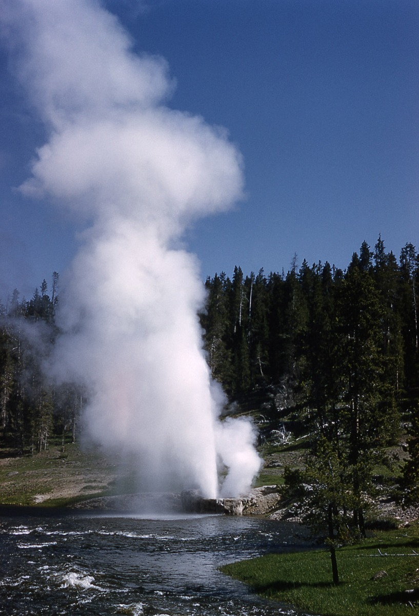 Riverside Geyser | Natural Atlas