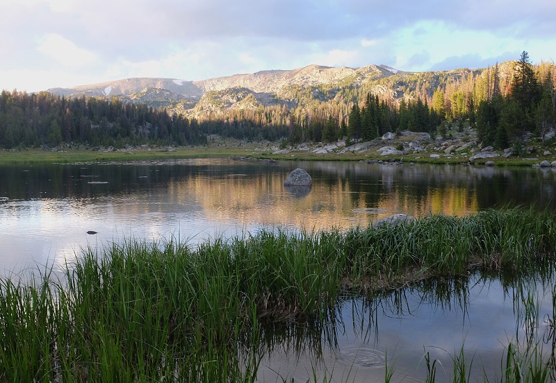 Shoshone National Forest Map – Natural Atlas