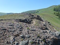 Fossil Forest Trailhead | Natural Atlas