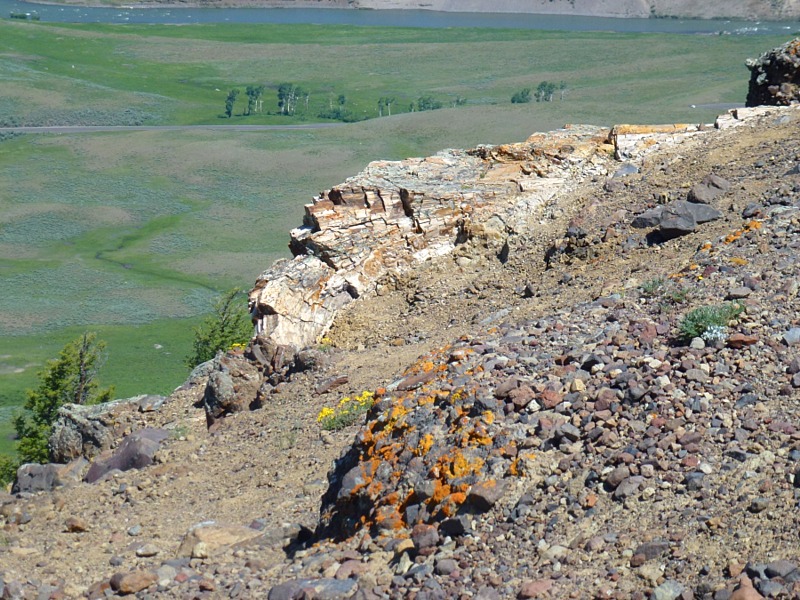 Fossil Forest Trailhead | Natural Atlas