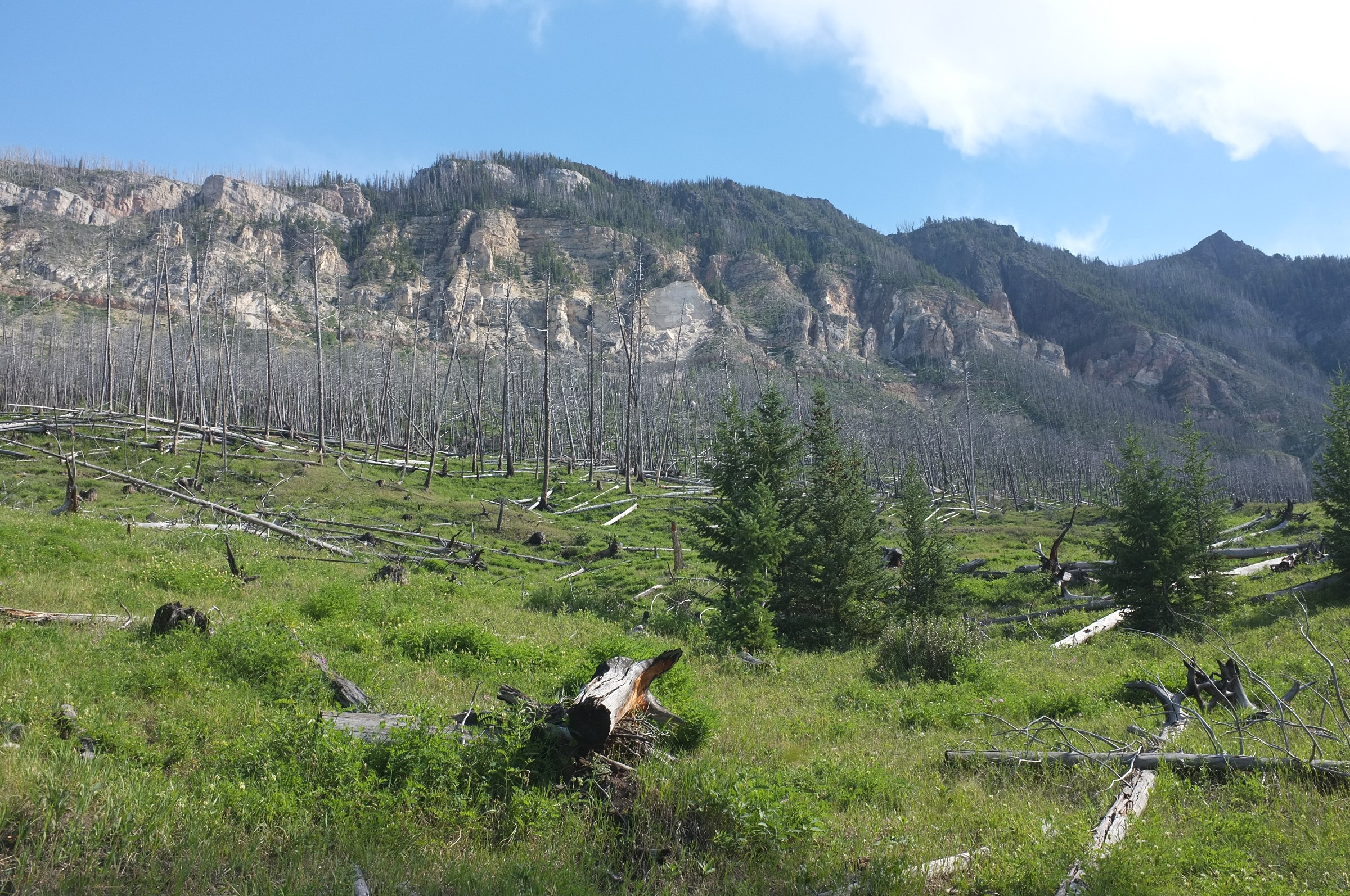 Cathedral Cliffs | Natural Atlas