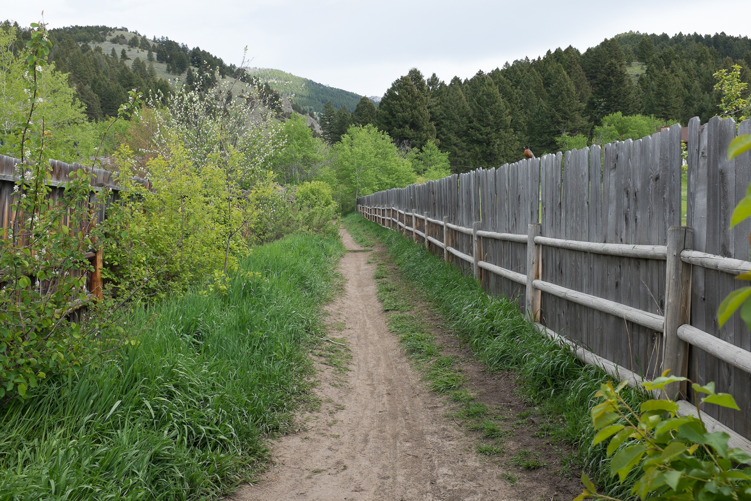 Sypes Canyon Trailhead | Natural Atlas