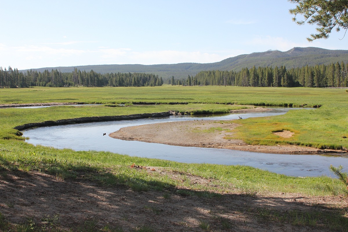Gibbon River | Natural Atlas