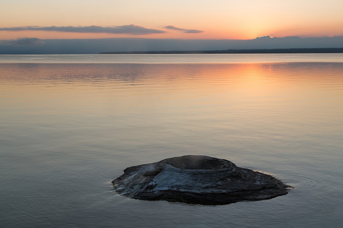 Fishing Cone | Natural Atlas