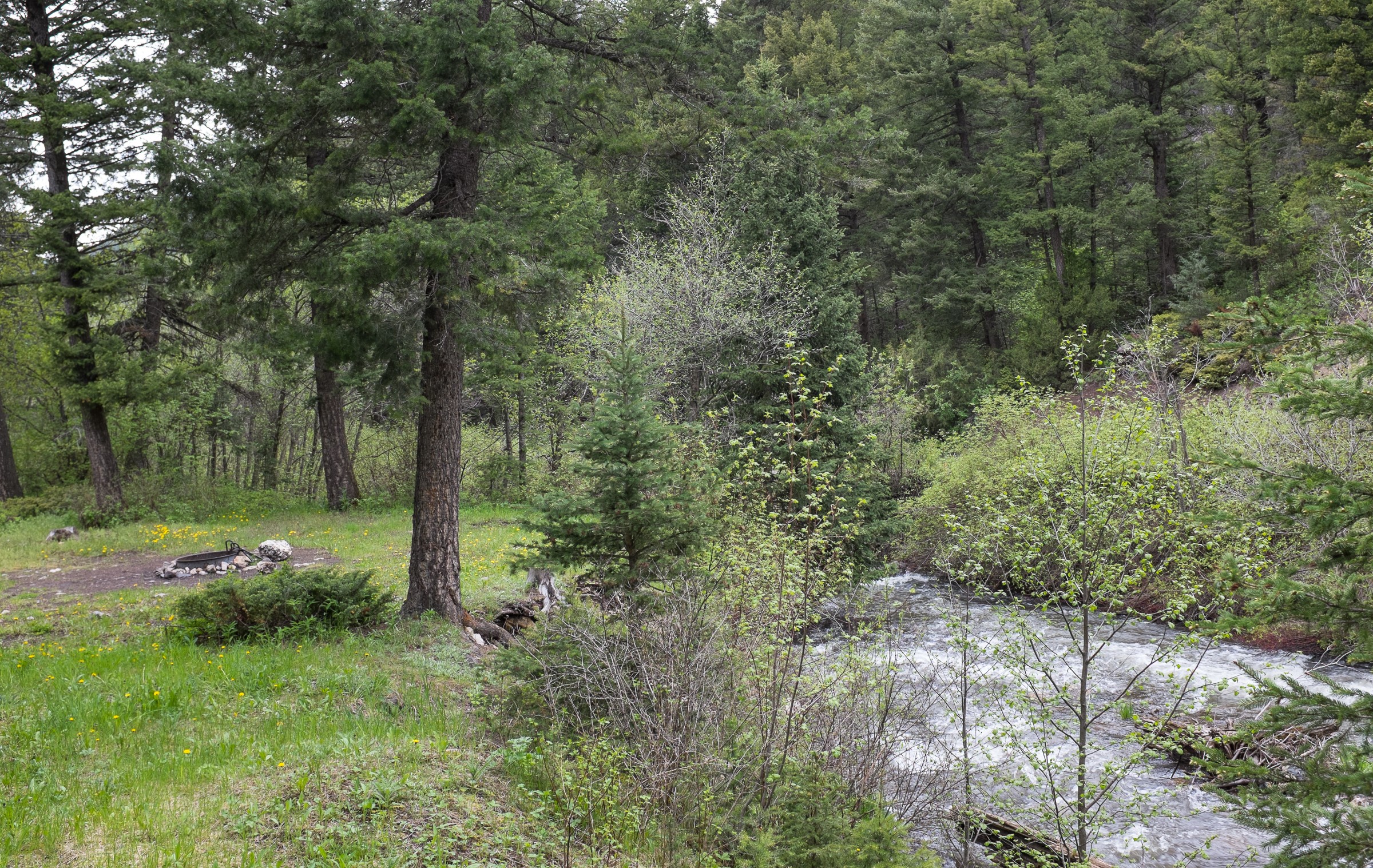Spire Rock Campground | Natural Atlas