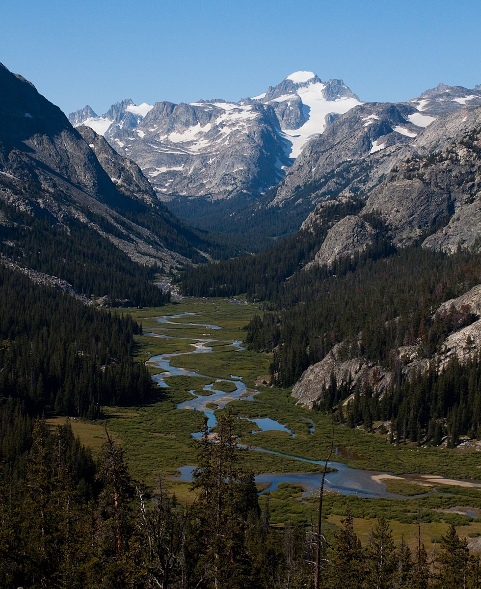 Wilson Meadows | Natural Atlas