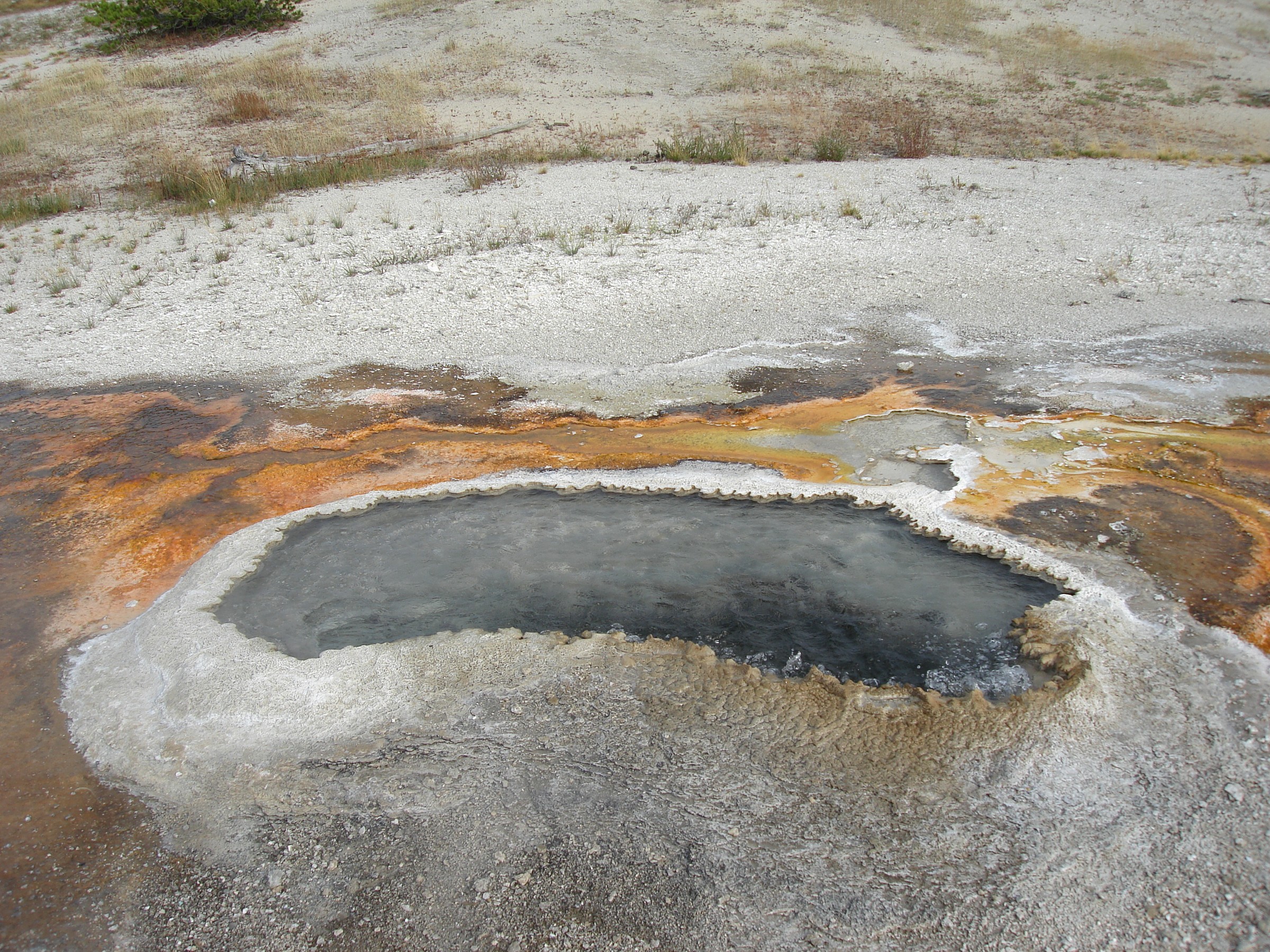 Ear Spring | Natural Atlas