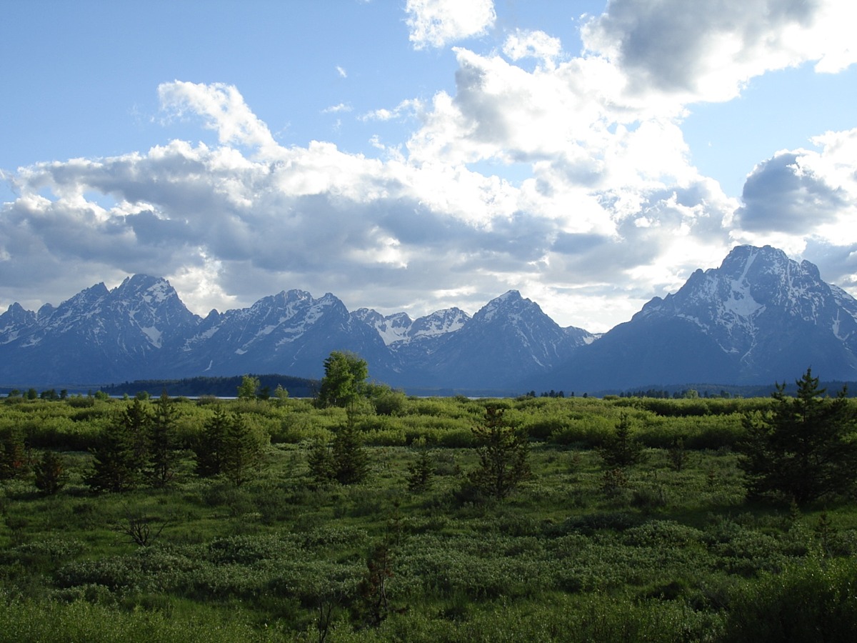 Willow Flats Overlook | Natural Atlas