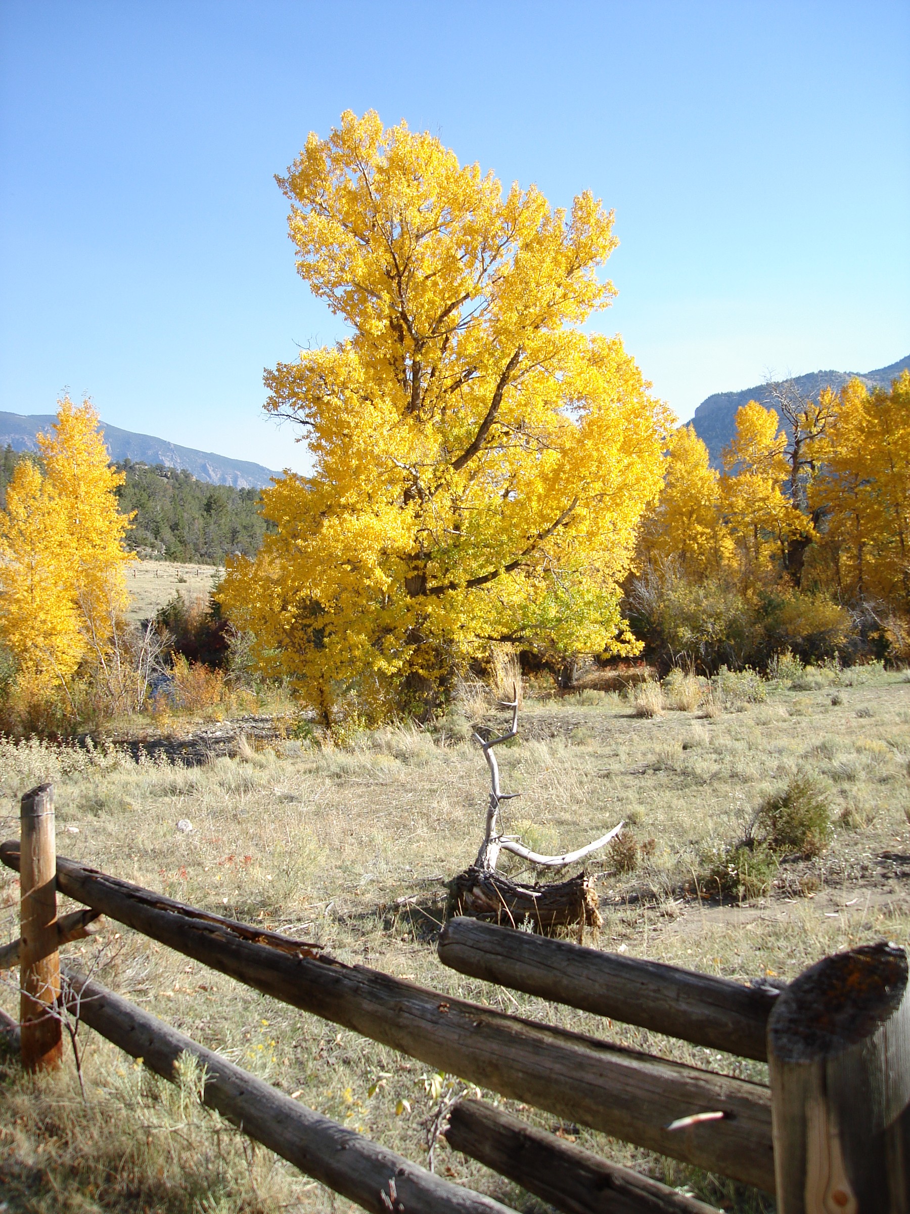 Dead Indian Campground | Natural Atlas