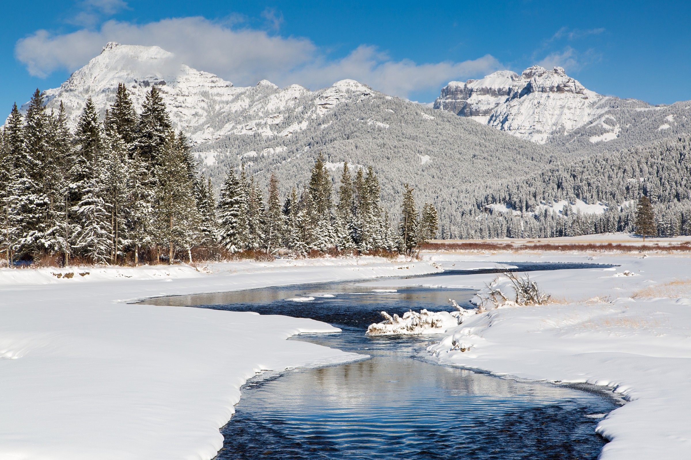 Soda Butte Creek | Natural Atlas