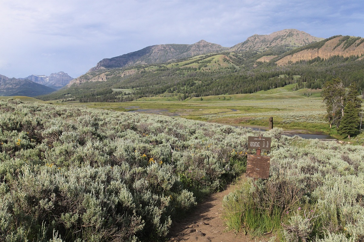 Soda Butte Trailhead | Natural Atlas