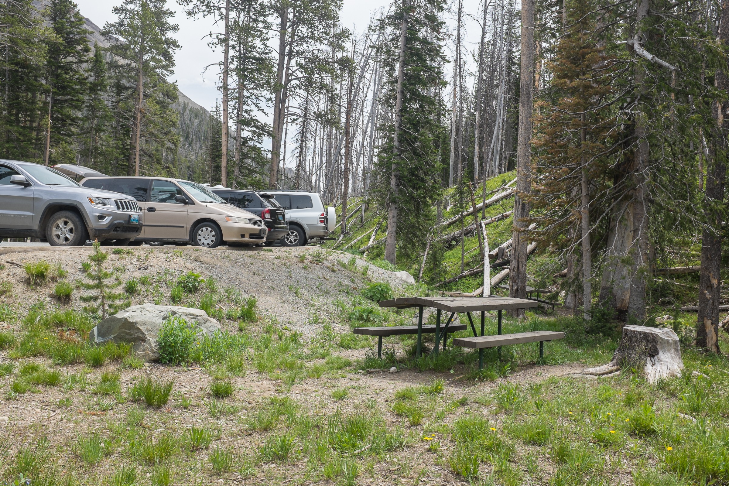 Eleanor Lake Picnic Area | Natural Atlas