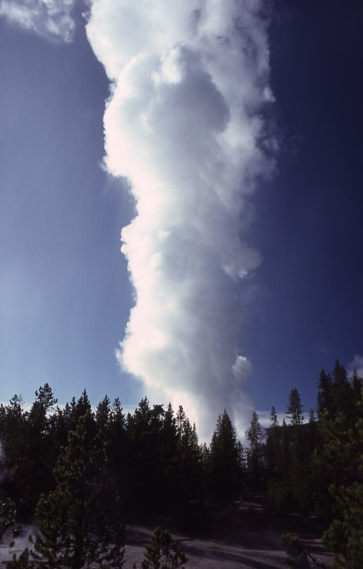 Steamboat Geyser | Natural Atlas