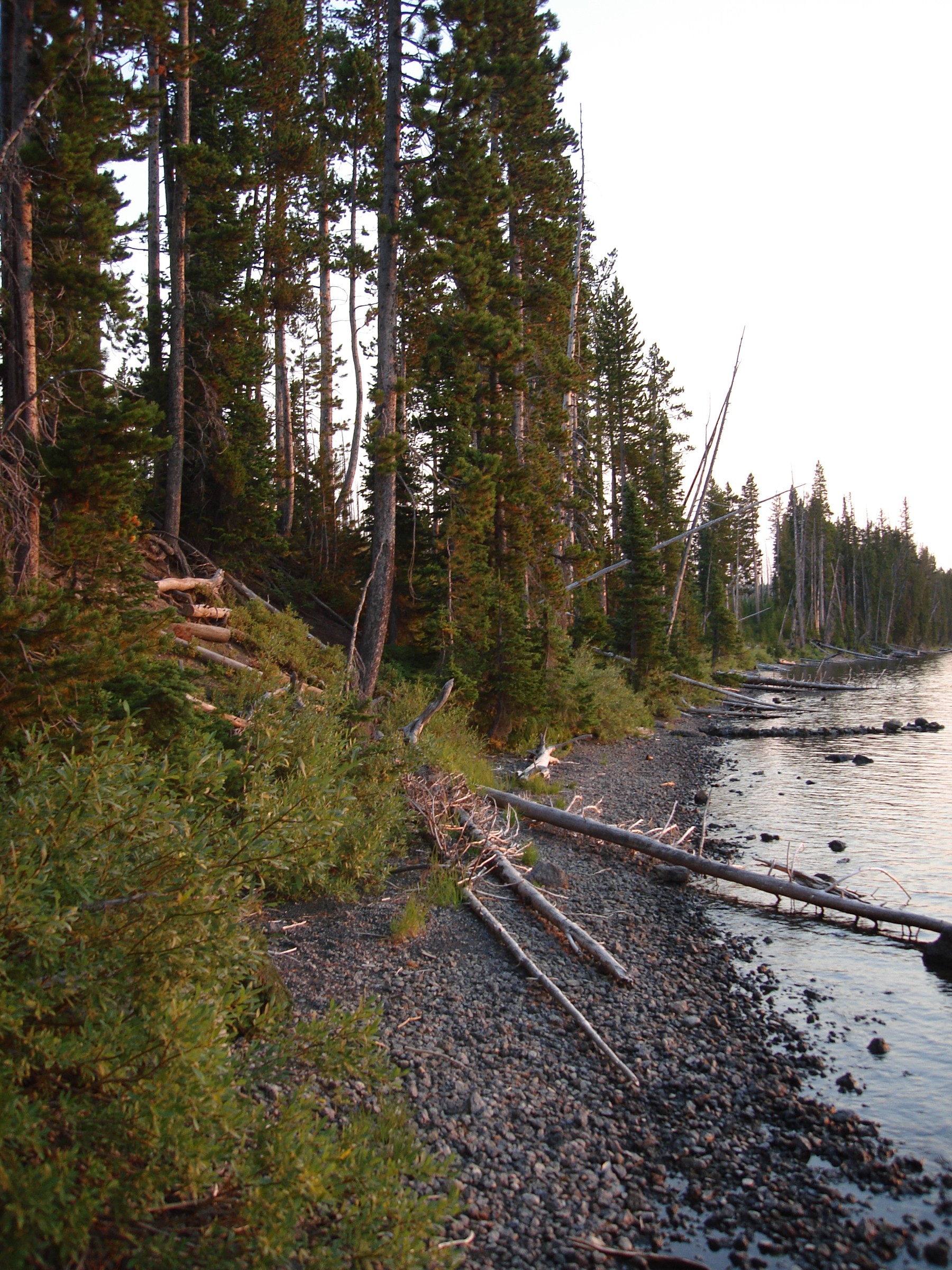 Lewis Lake | Natural Atlas