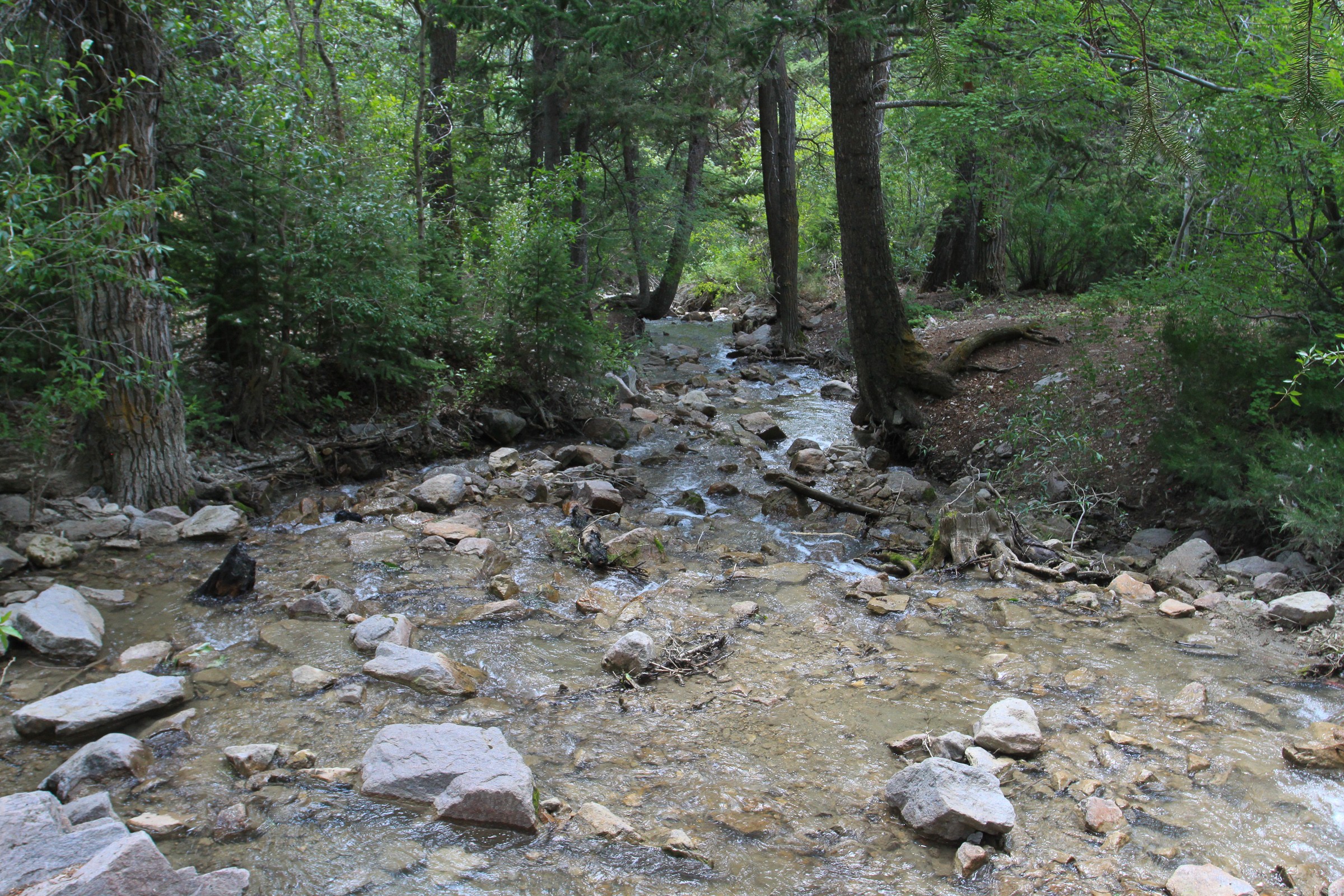 Five Springs Falls Campground | Natural Atlas