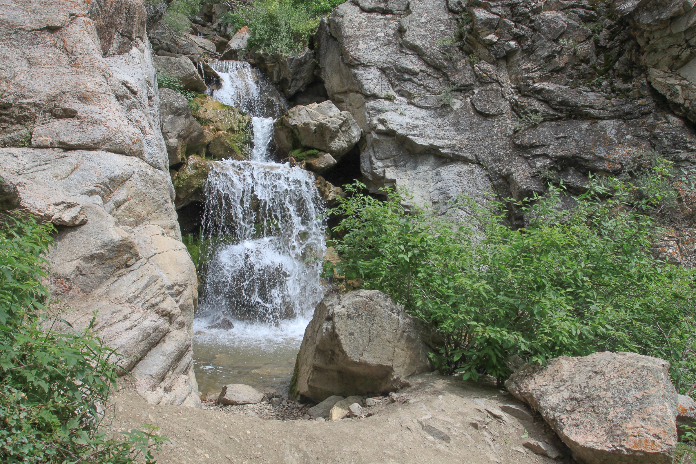 Five Springs Falls | Natural Atlas