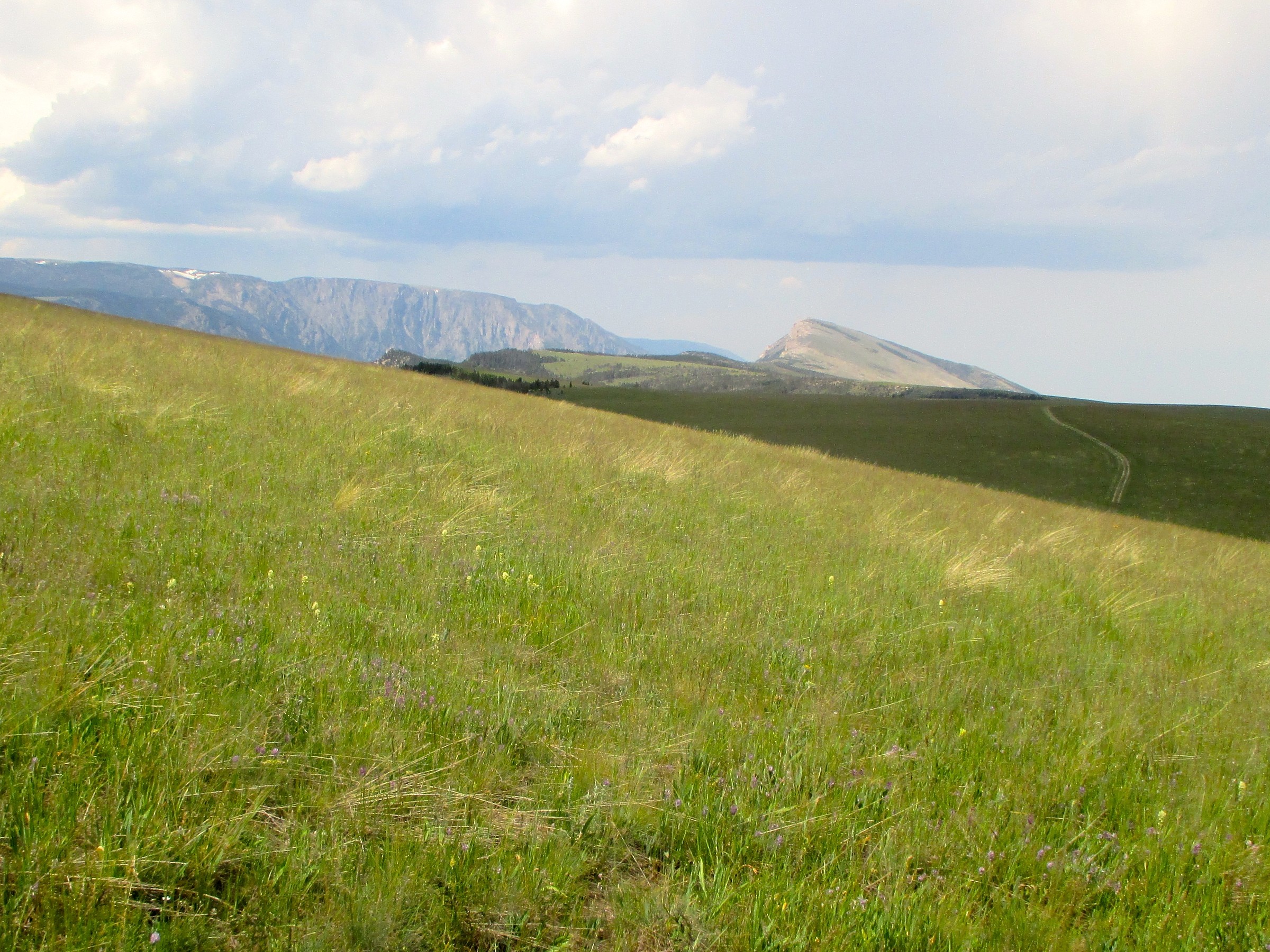 Bald Ridge | Natural Atlas