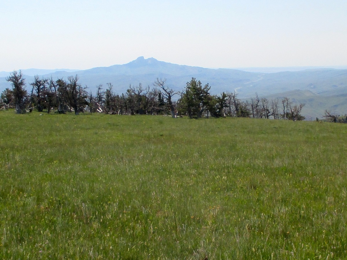 Bald Ridge | Natural Atlas