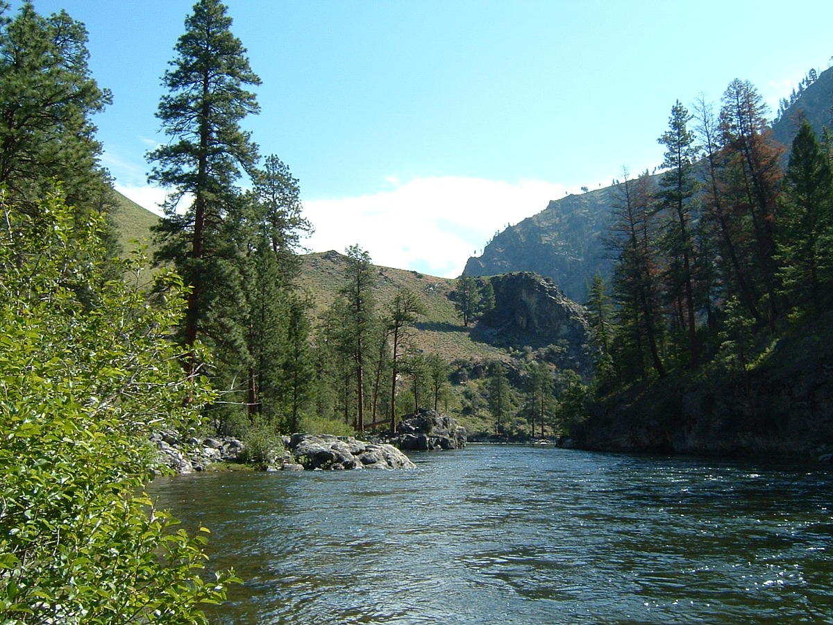 Middle Fork Salmon River | Natural Atlas