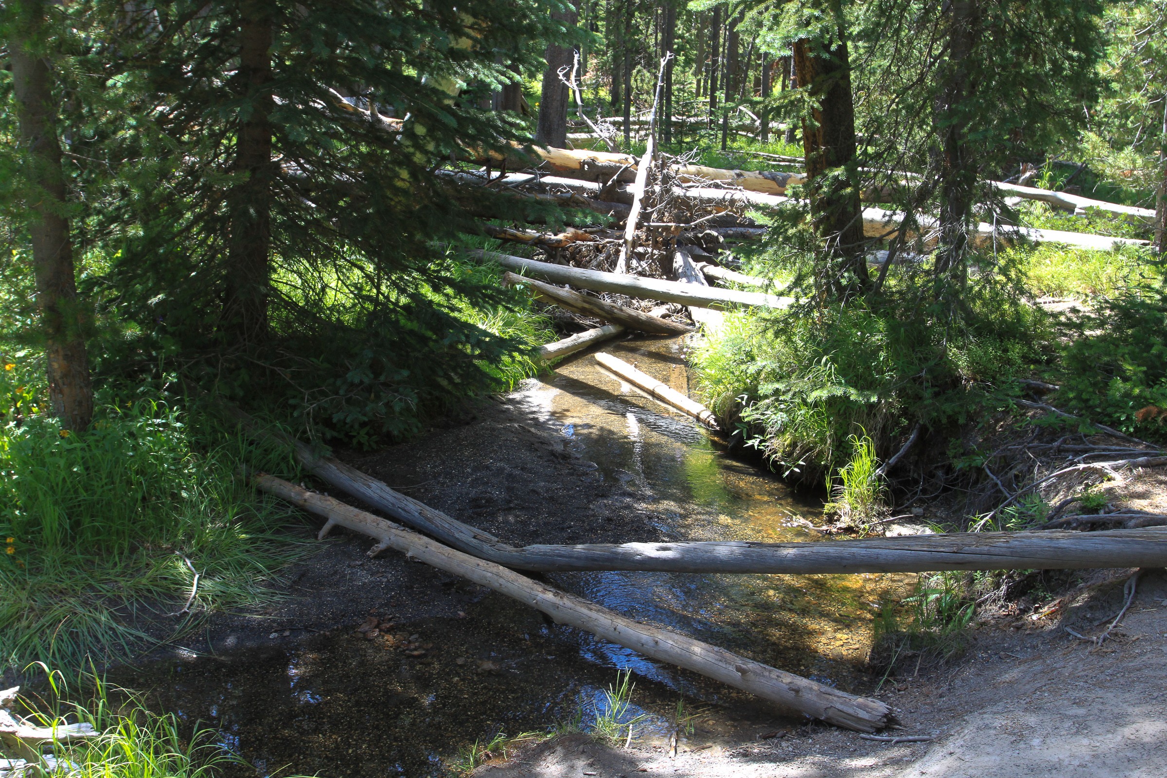 Spring Creek Picnic Area | Natural Atlas