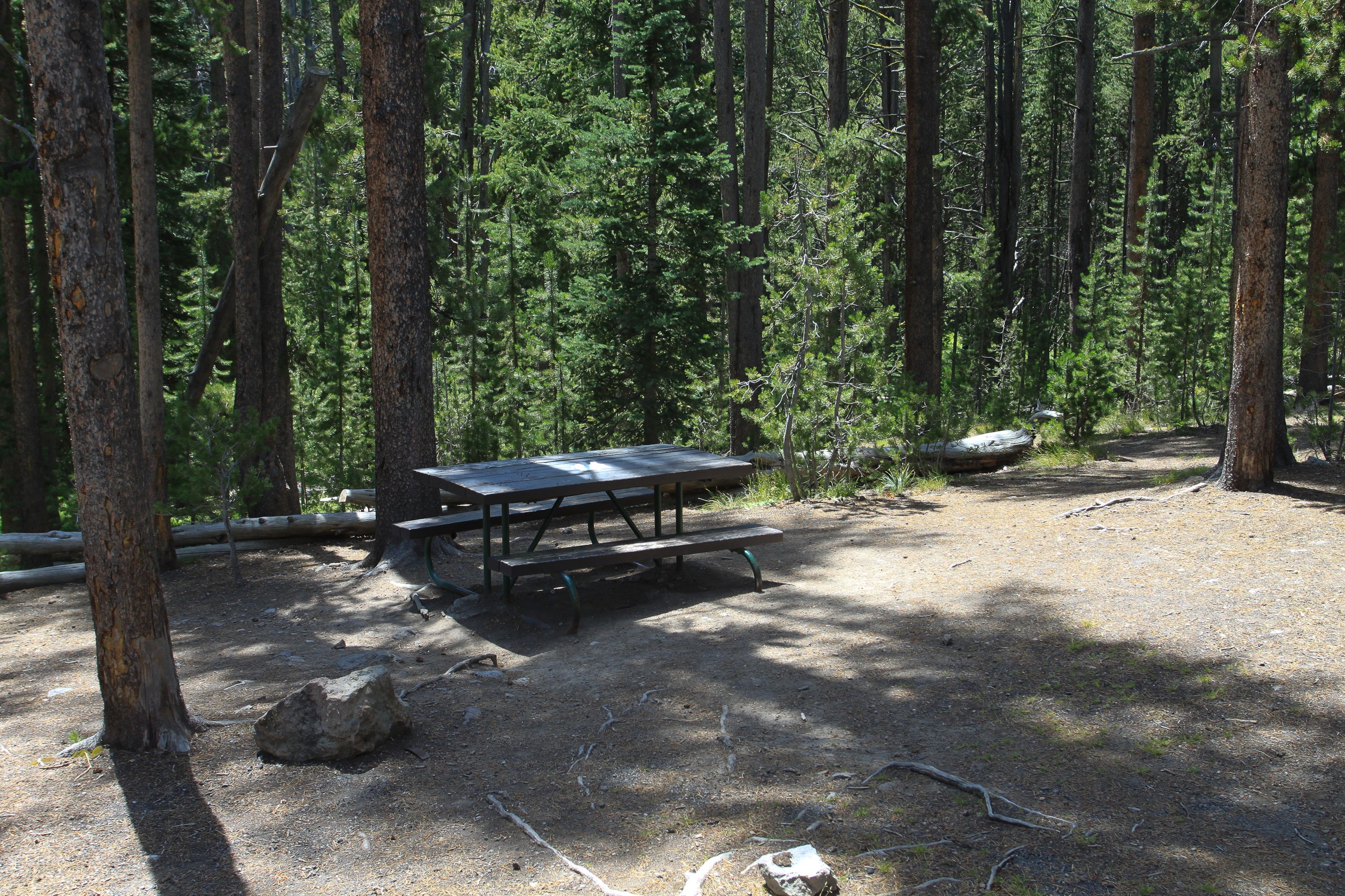 Spring Creek Picnic Area | Natural Atlas