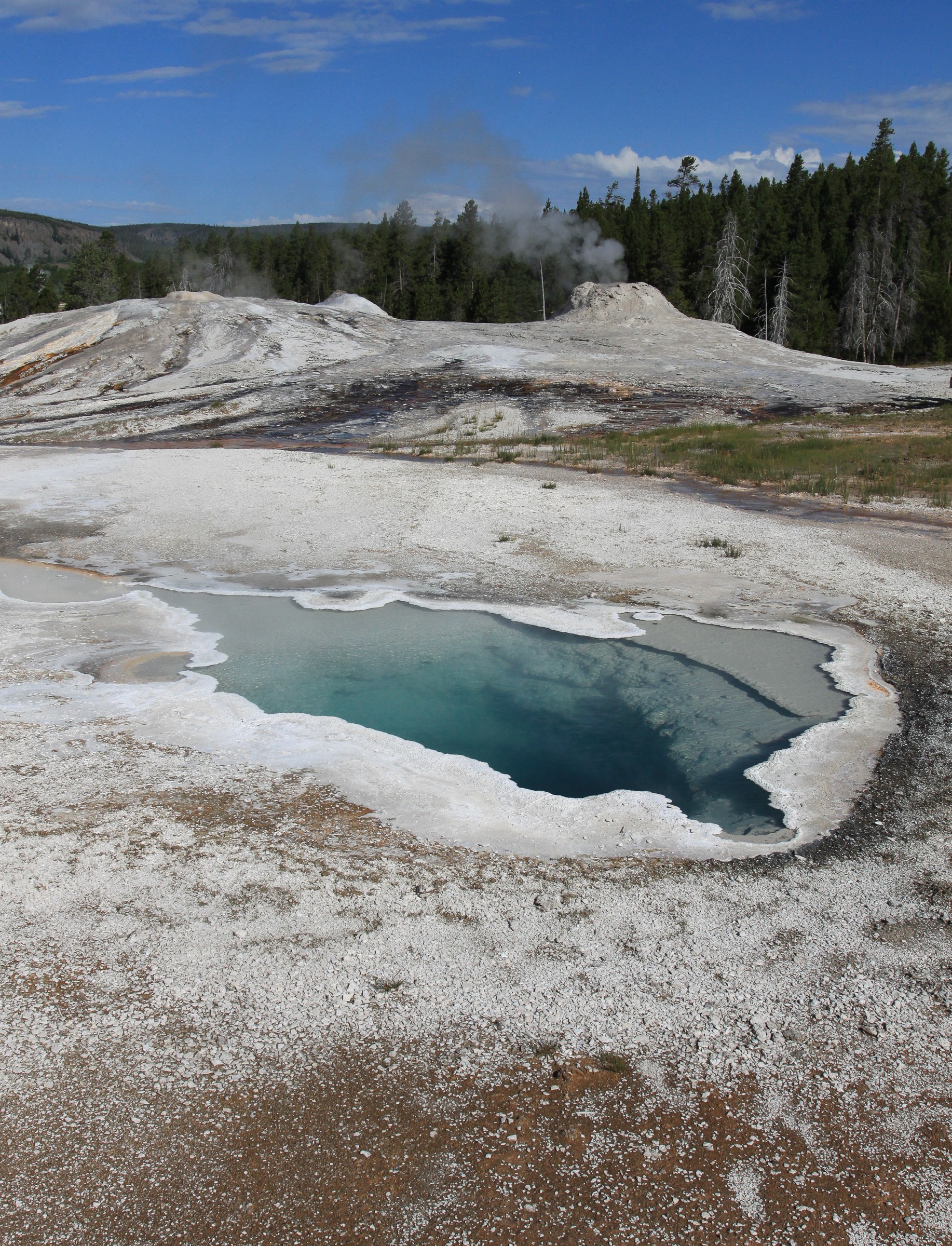 Heart Spring | Natural Atlas