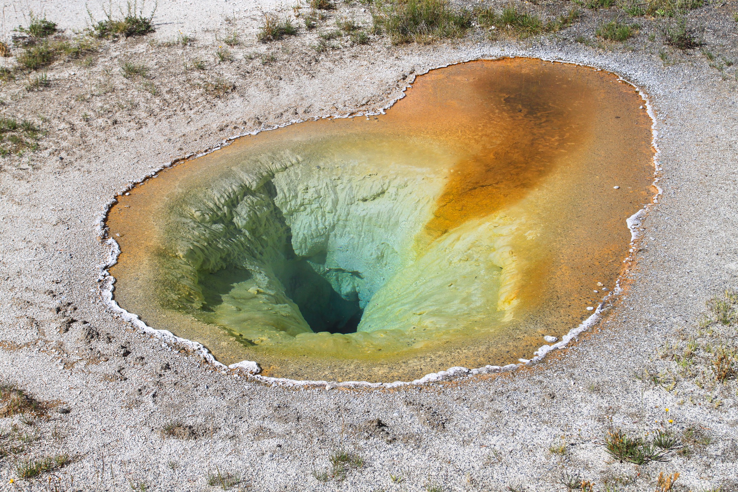 Belgian Pool | Natural Atlas