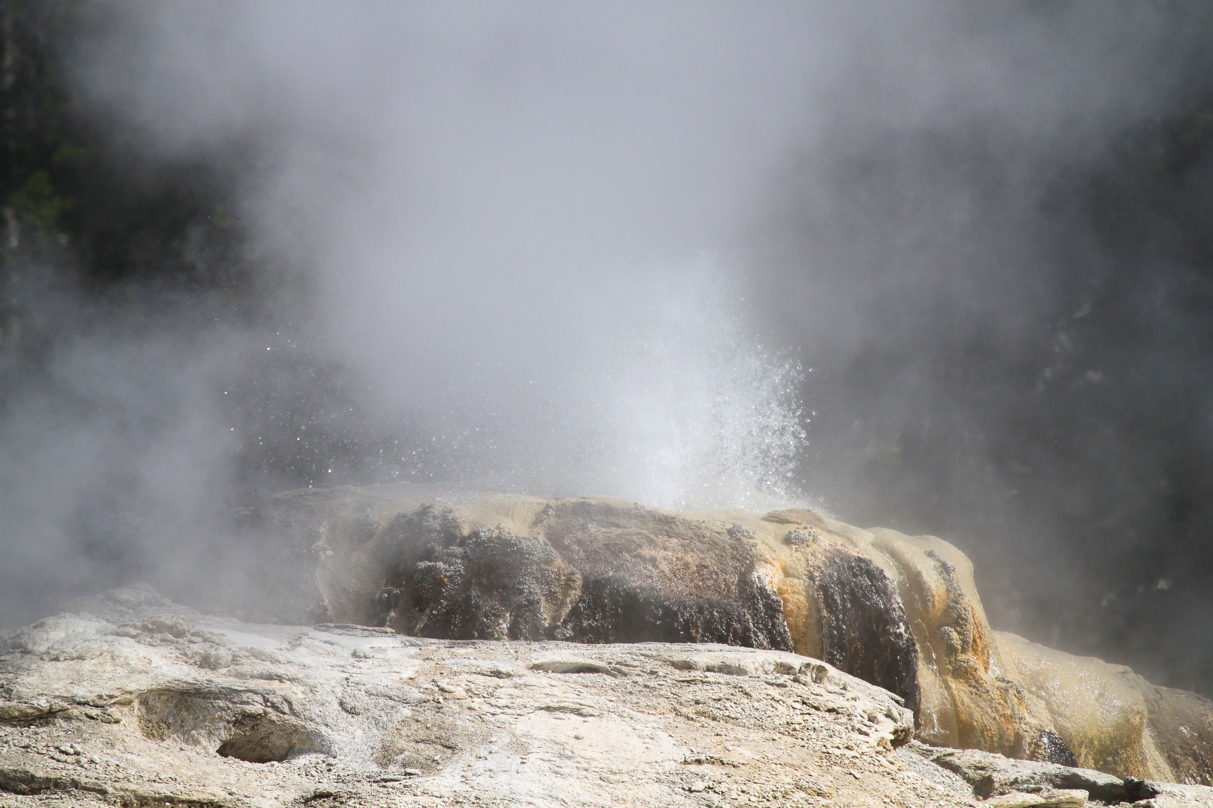Catfish Geyser | Natural Atlas