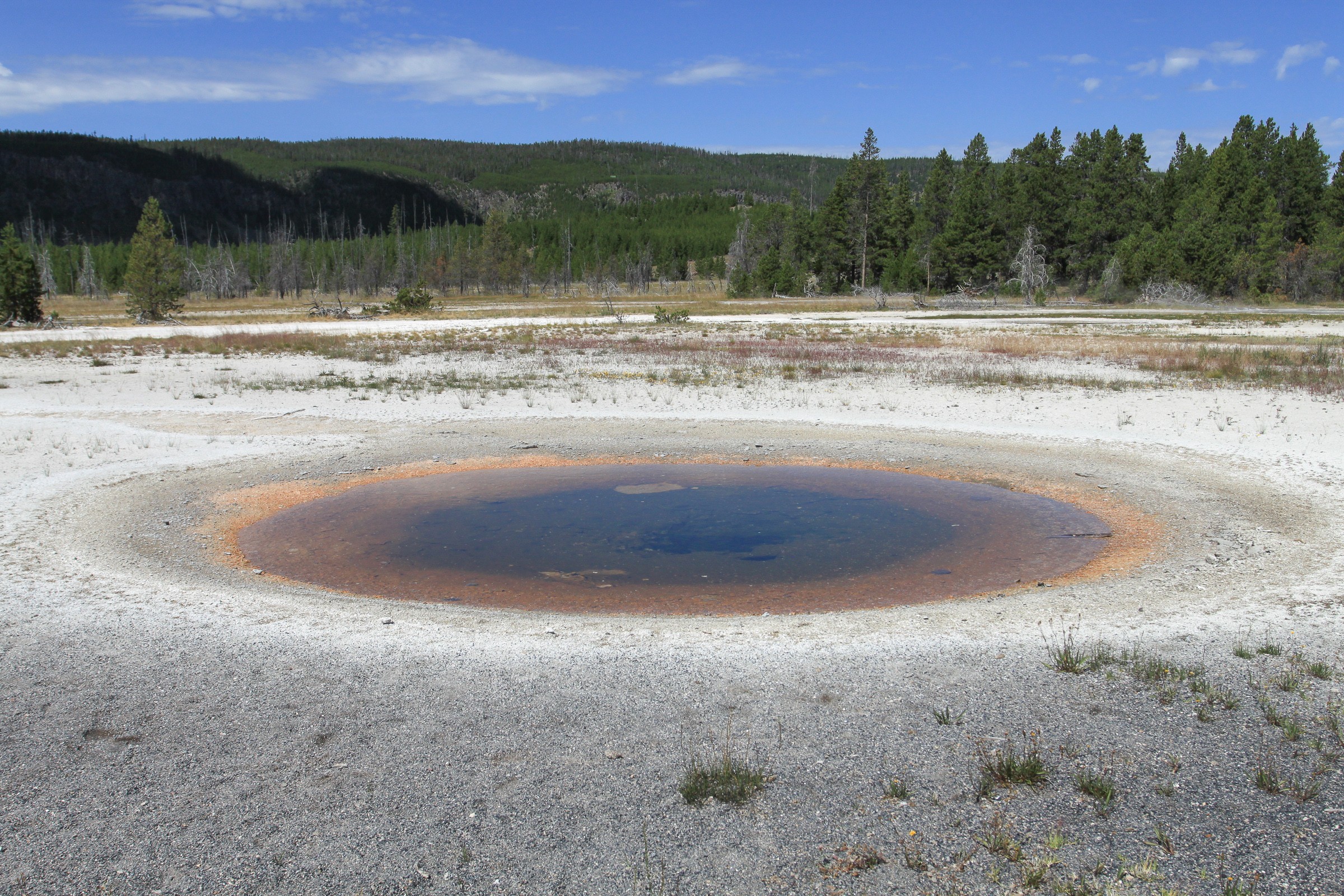 Round Spring | Natural Atlas