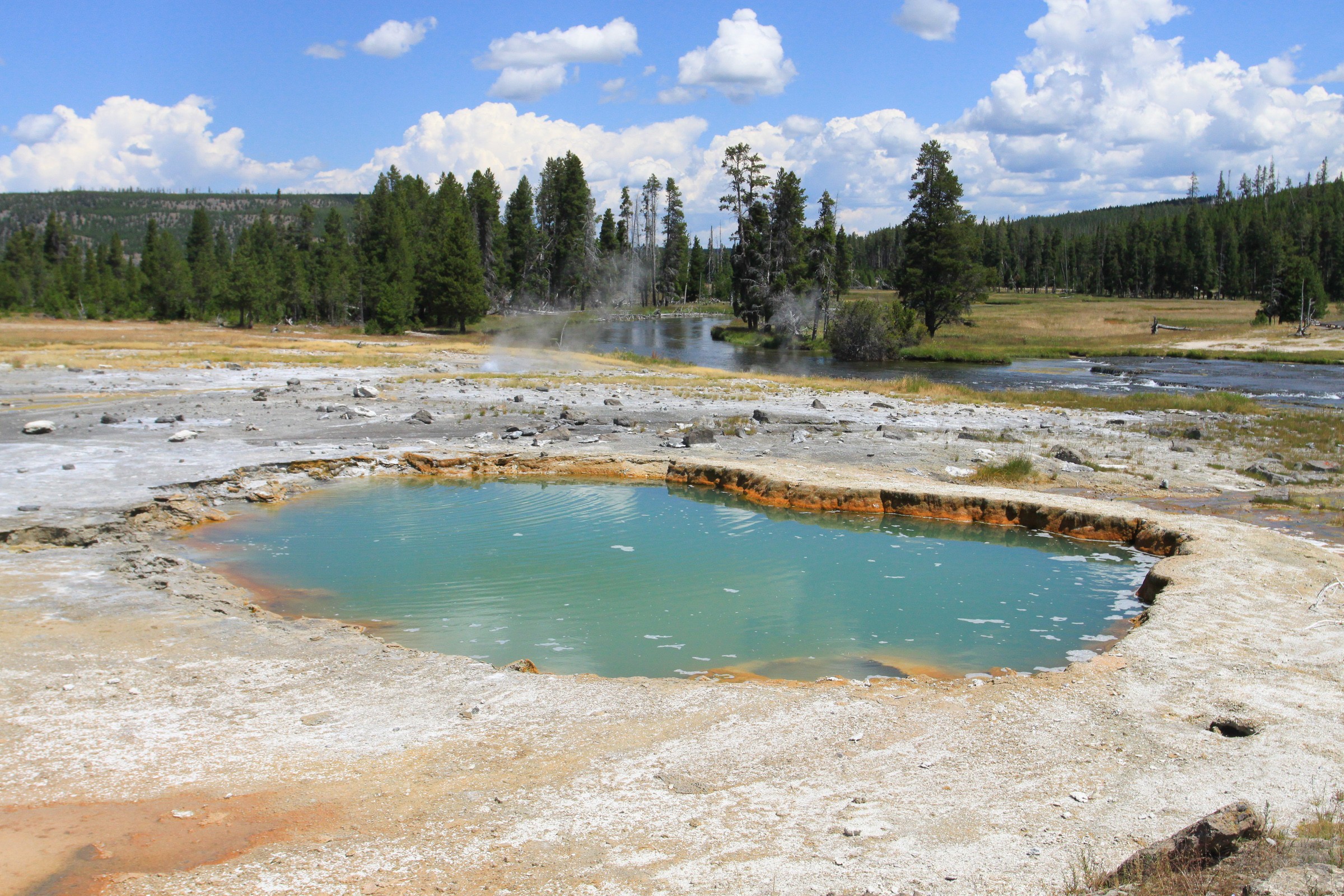 Wall Pool | Natural Atlas