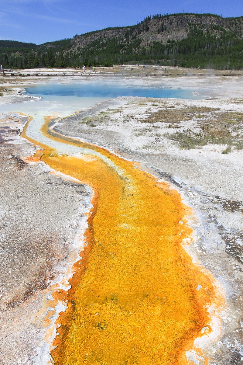 Sapphire Pool | Natural Atlas
