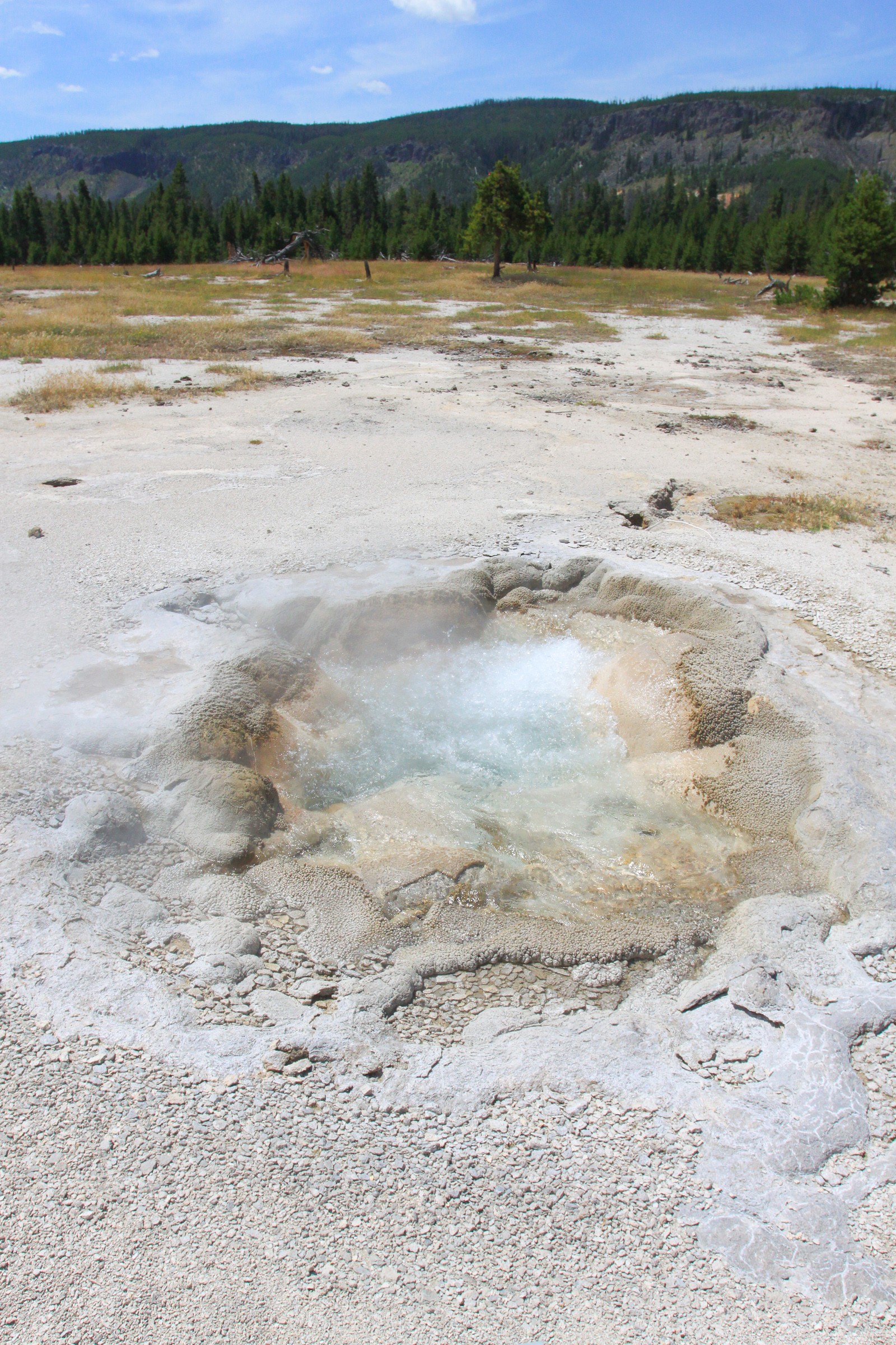 Shell Spring | Natural Atlas