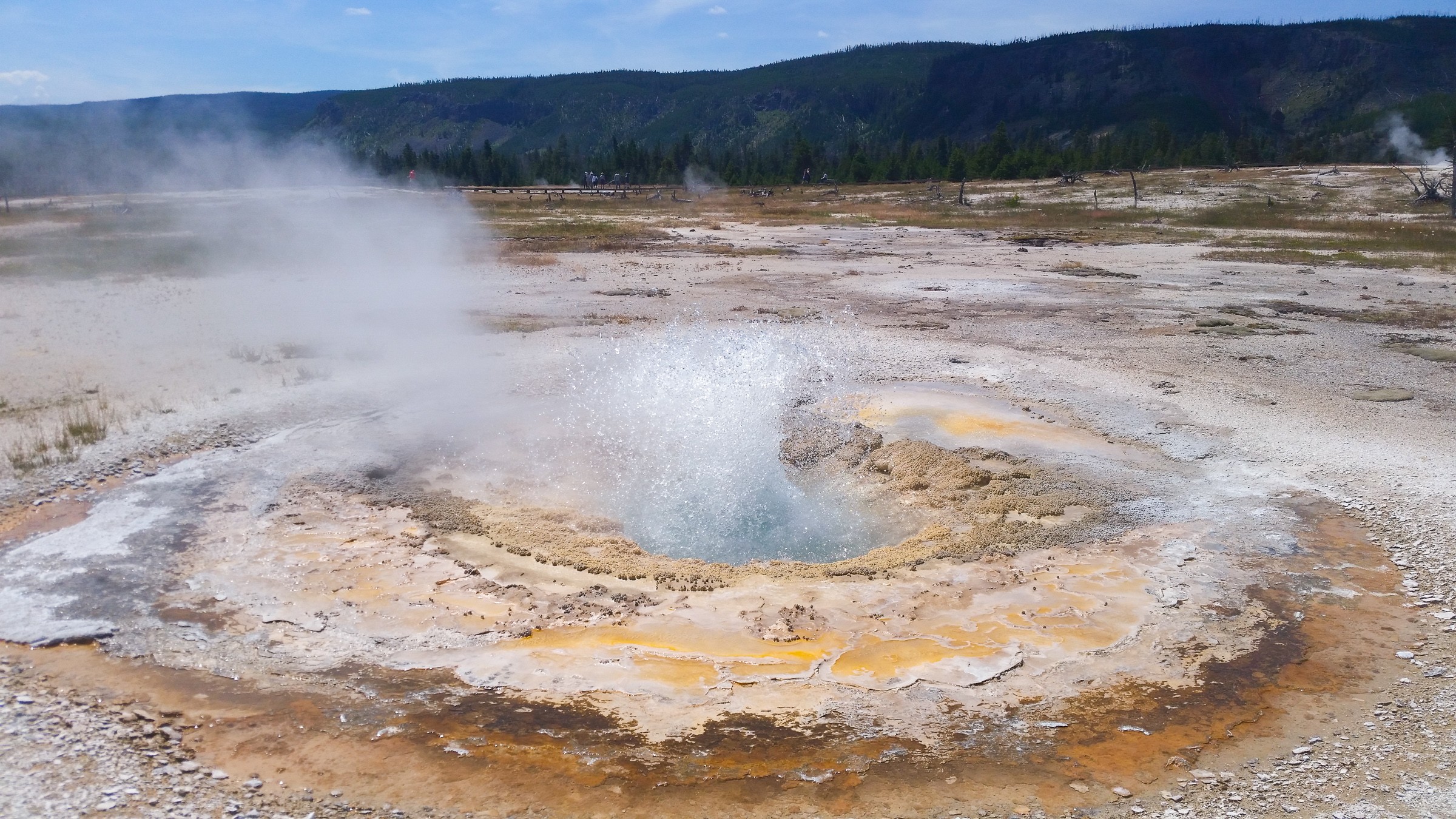 East Mustard Spring | Natural Atlas
