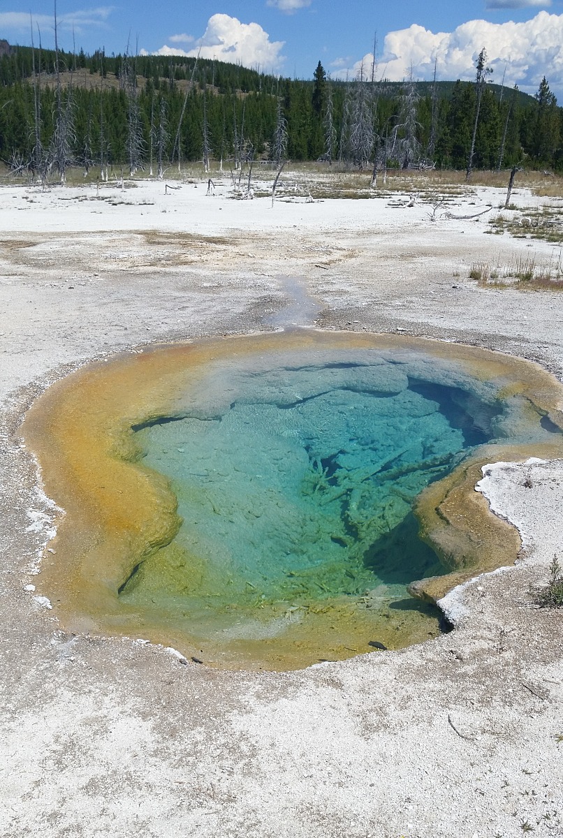 Little Firehole River Map (Yellowstone) – Natural Atlas