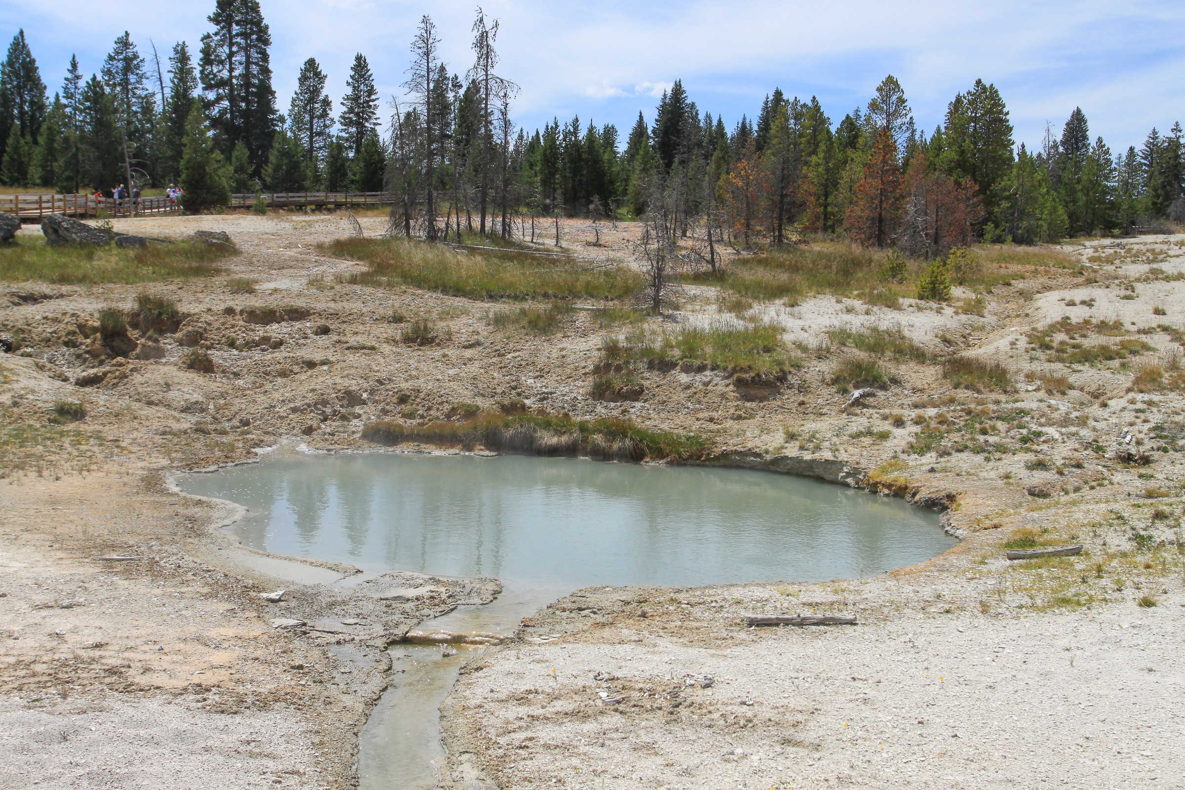 Lakeside Spring | Natural Atlas