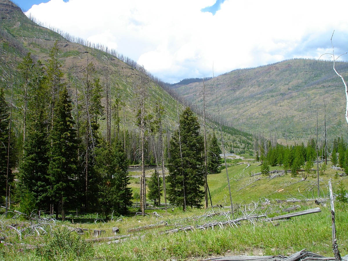 Pahaska Trailhead | Natural Atlas