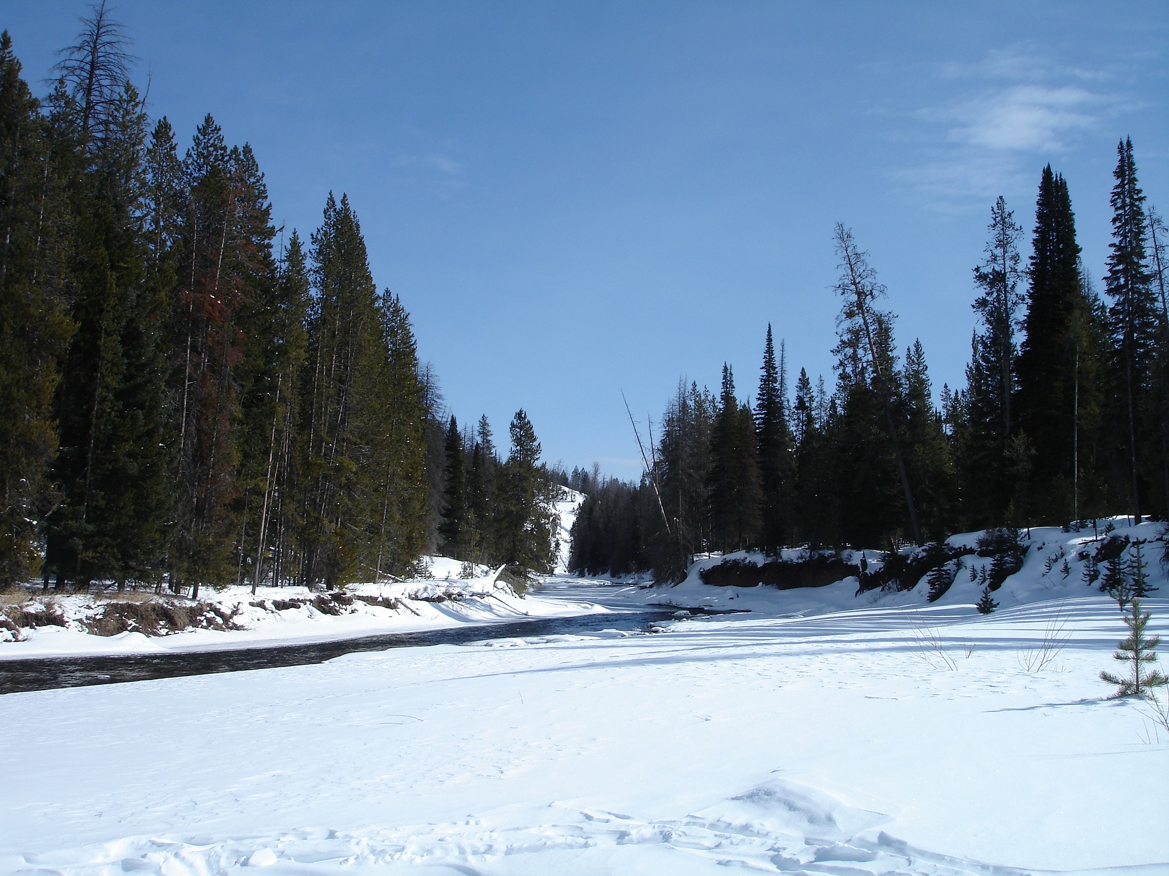 Pahaska Ski Trails | Natural Atlas