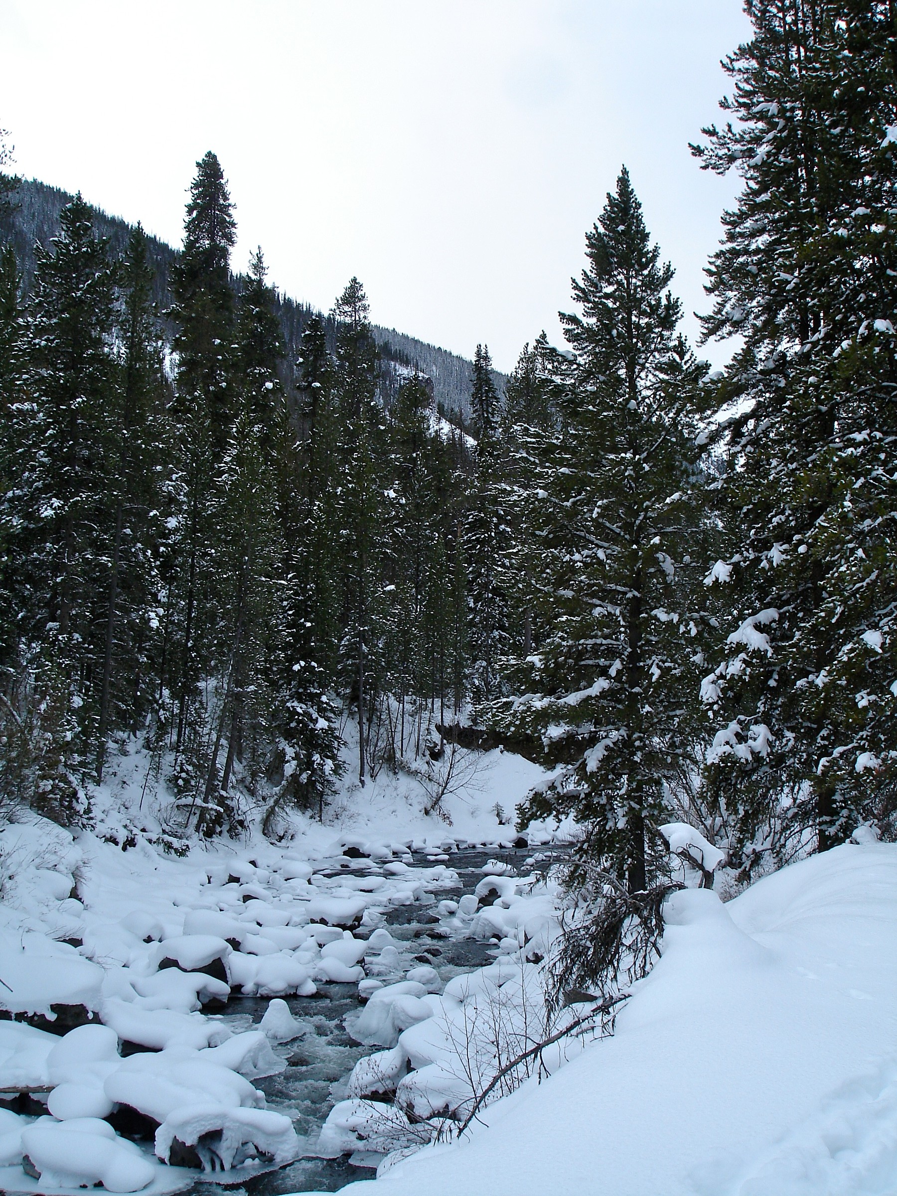Pahaska Ski Trails | Natural Atlas