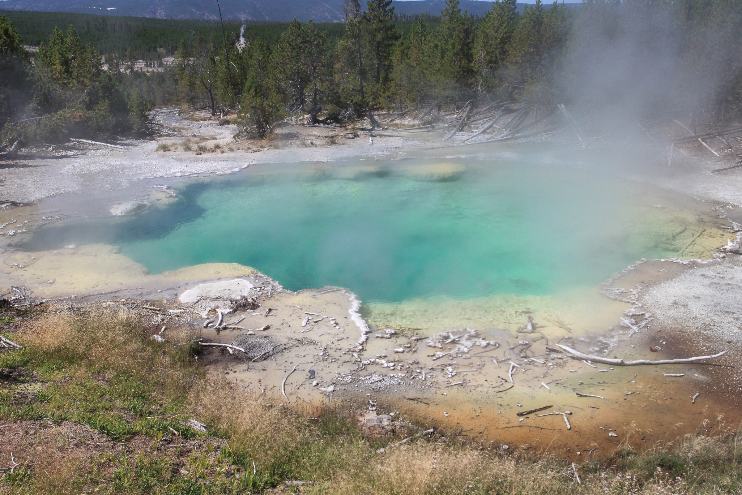 Emerald Spring | Natural Atlas