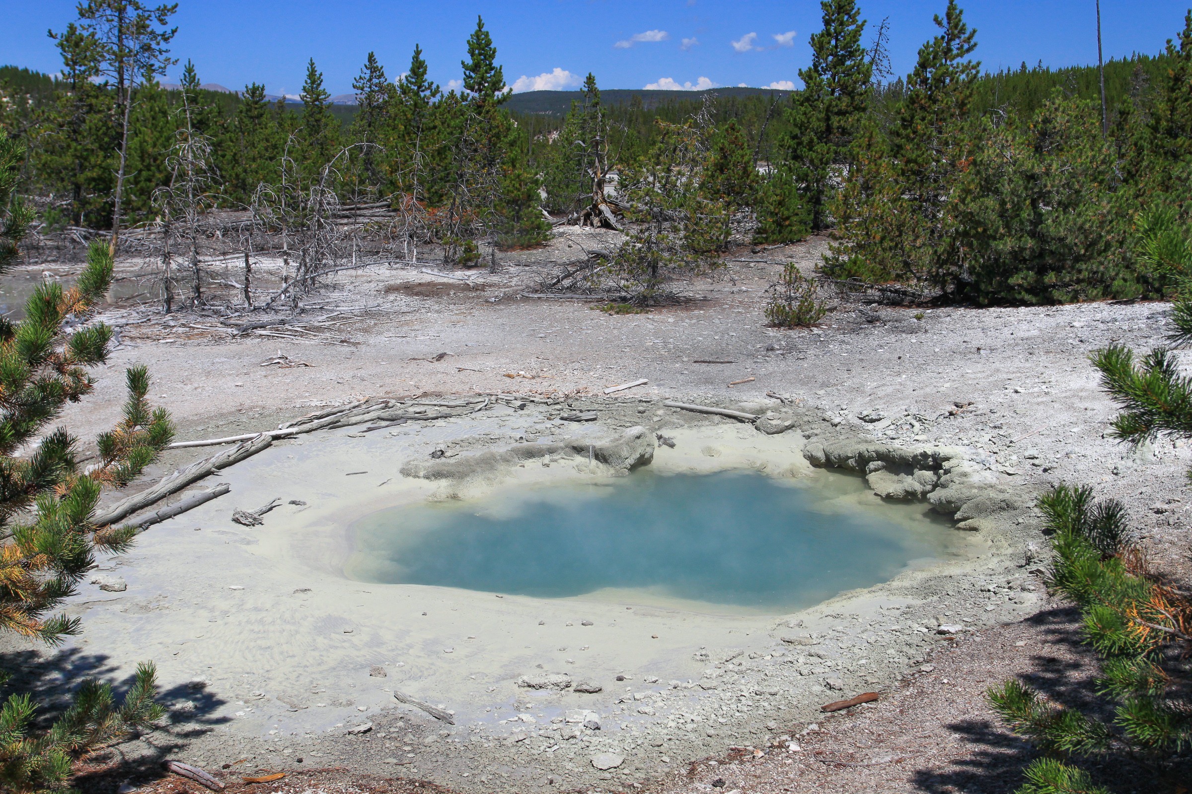 Mystic Spring | Natural Atlas