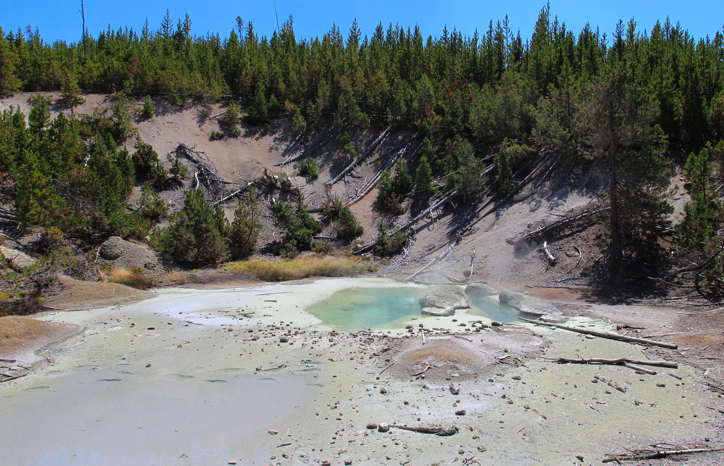 Monarch Geyser | Natural Atlas