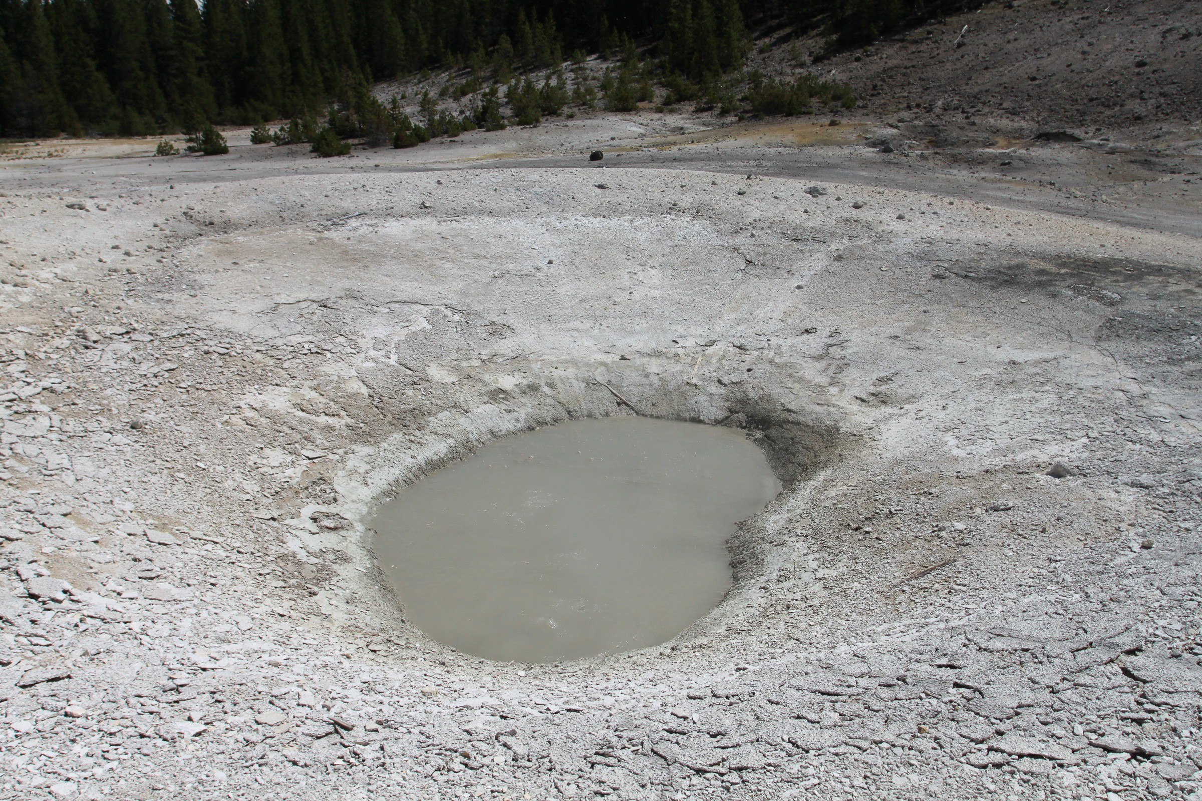 Congress Pool | Natural Atlas