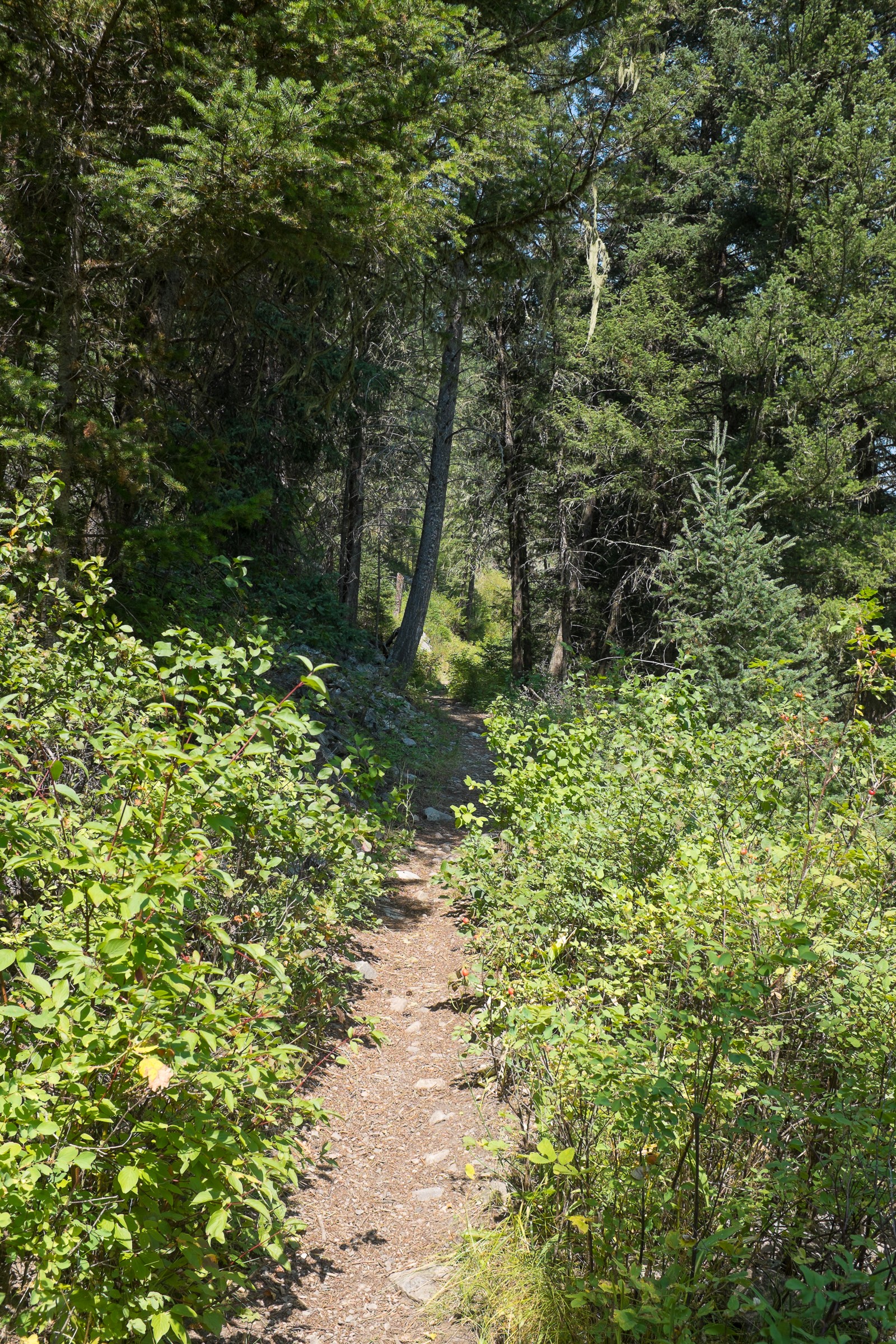 Asbestos Mine Trailhead | Natural Atlas
