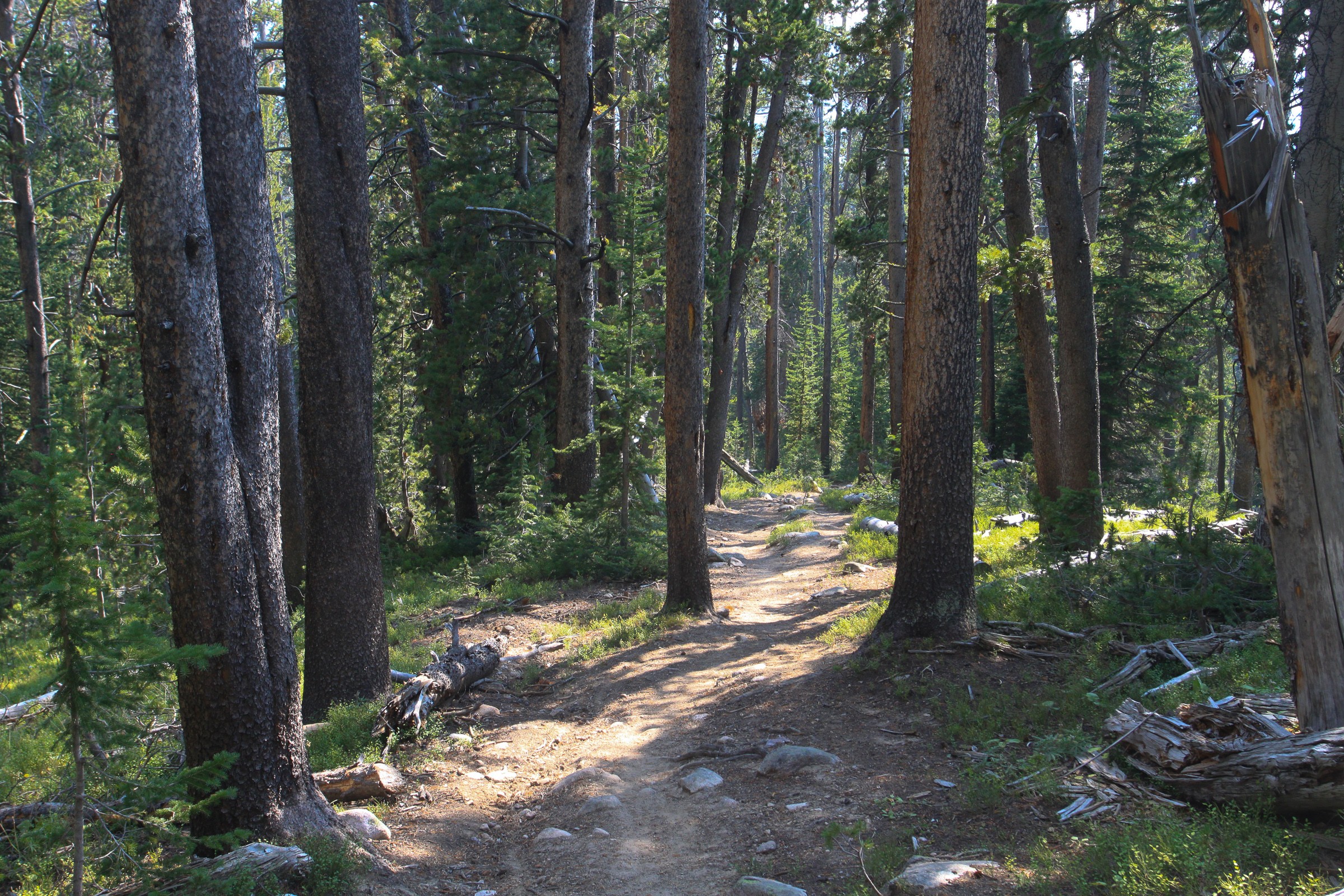 Beartooth Lake Trailhead | Natural Atlas