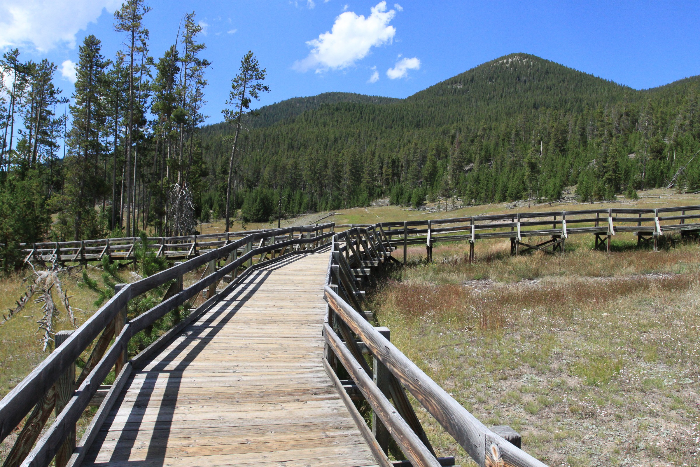 Terrace Springs Trail | Natural Atlas