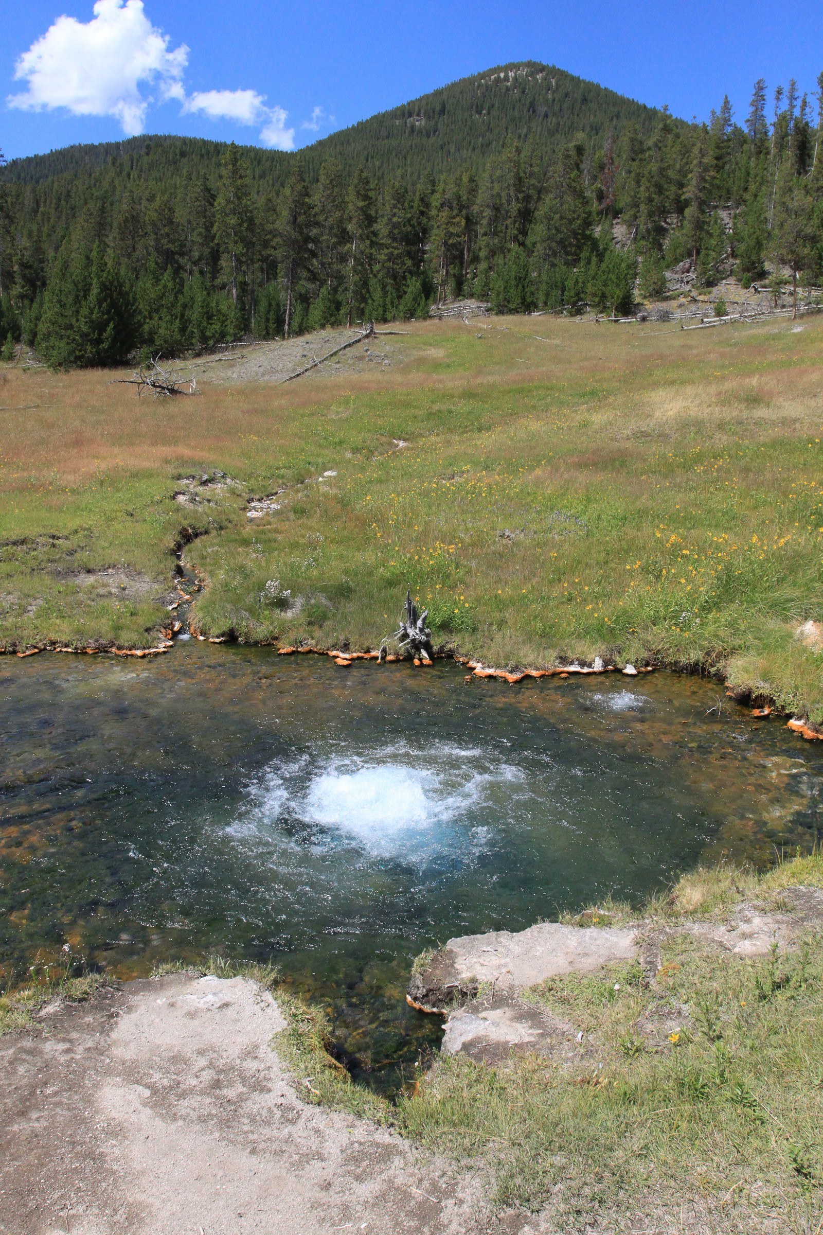 Terrace Springs Trail | Natural Atlas