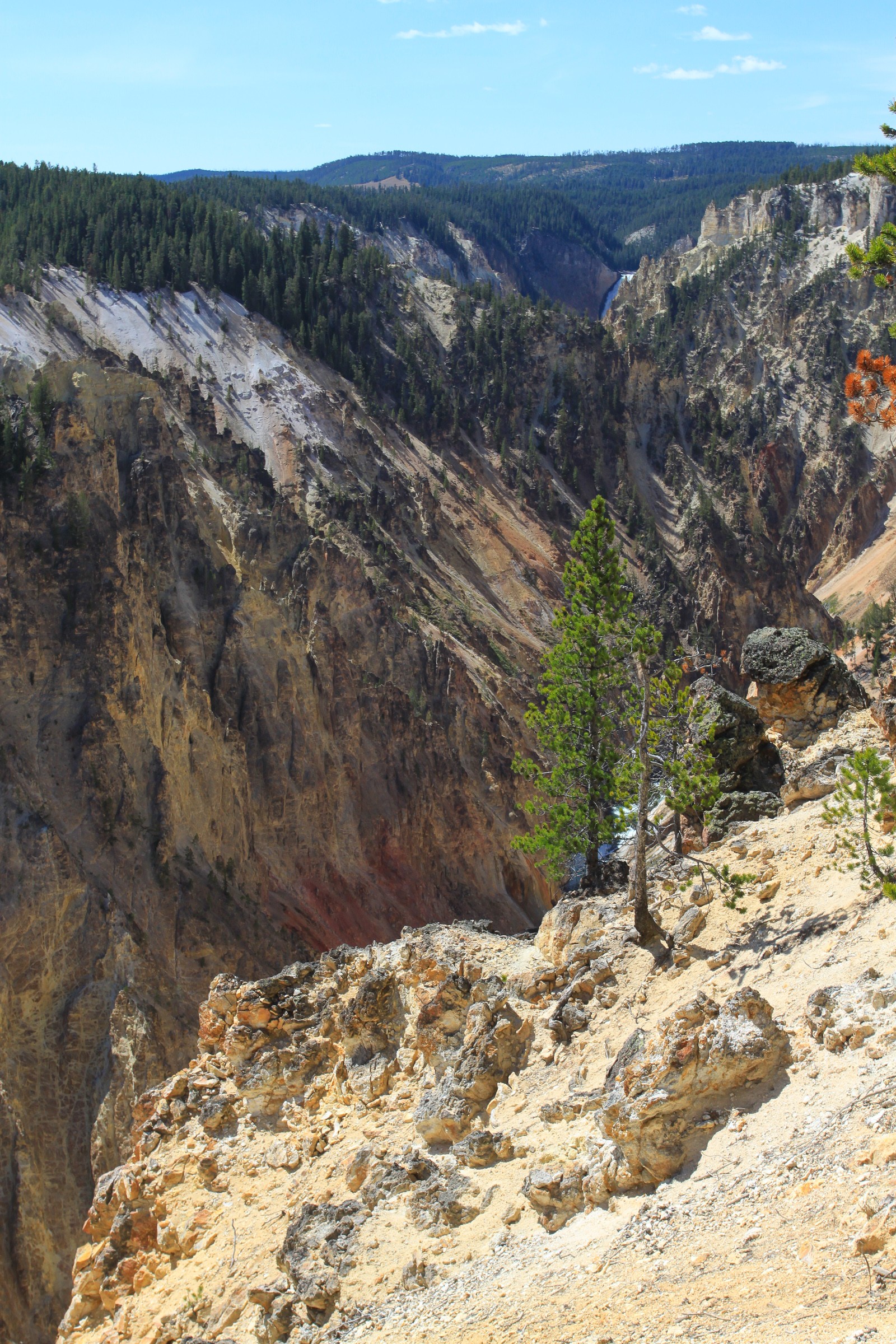 Inspiration Point | Natural Atlas